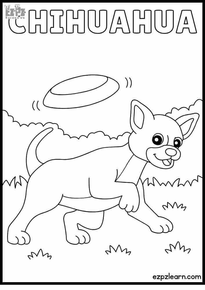 Cute Chihuahua coloring page for kids! Color online or print a free PDF ...