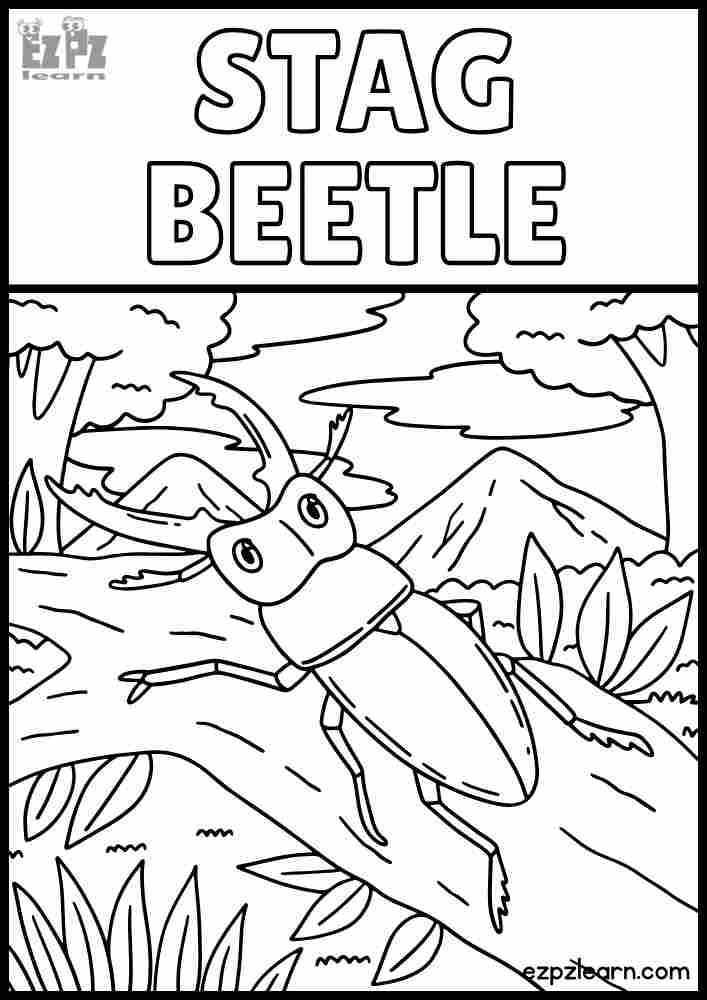 Discover the world of beetles! Color a stag beetle online with this ...