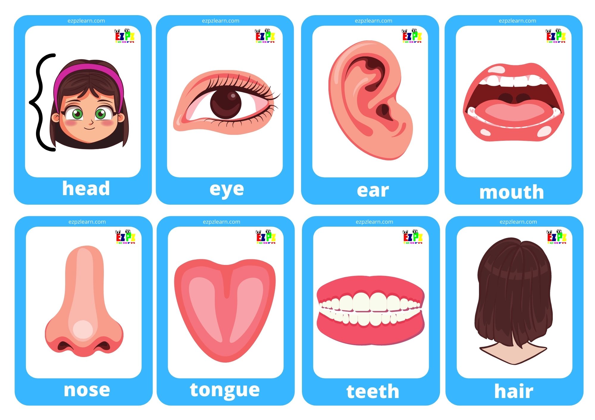 Body - Ezpzlearn.com