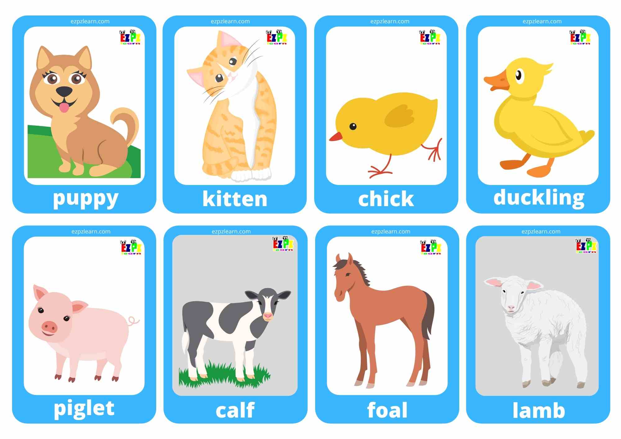 Baby Animals Vocabulary Mini Flashcards for Kindergarten and English ...