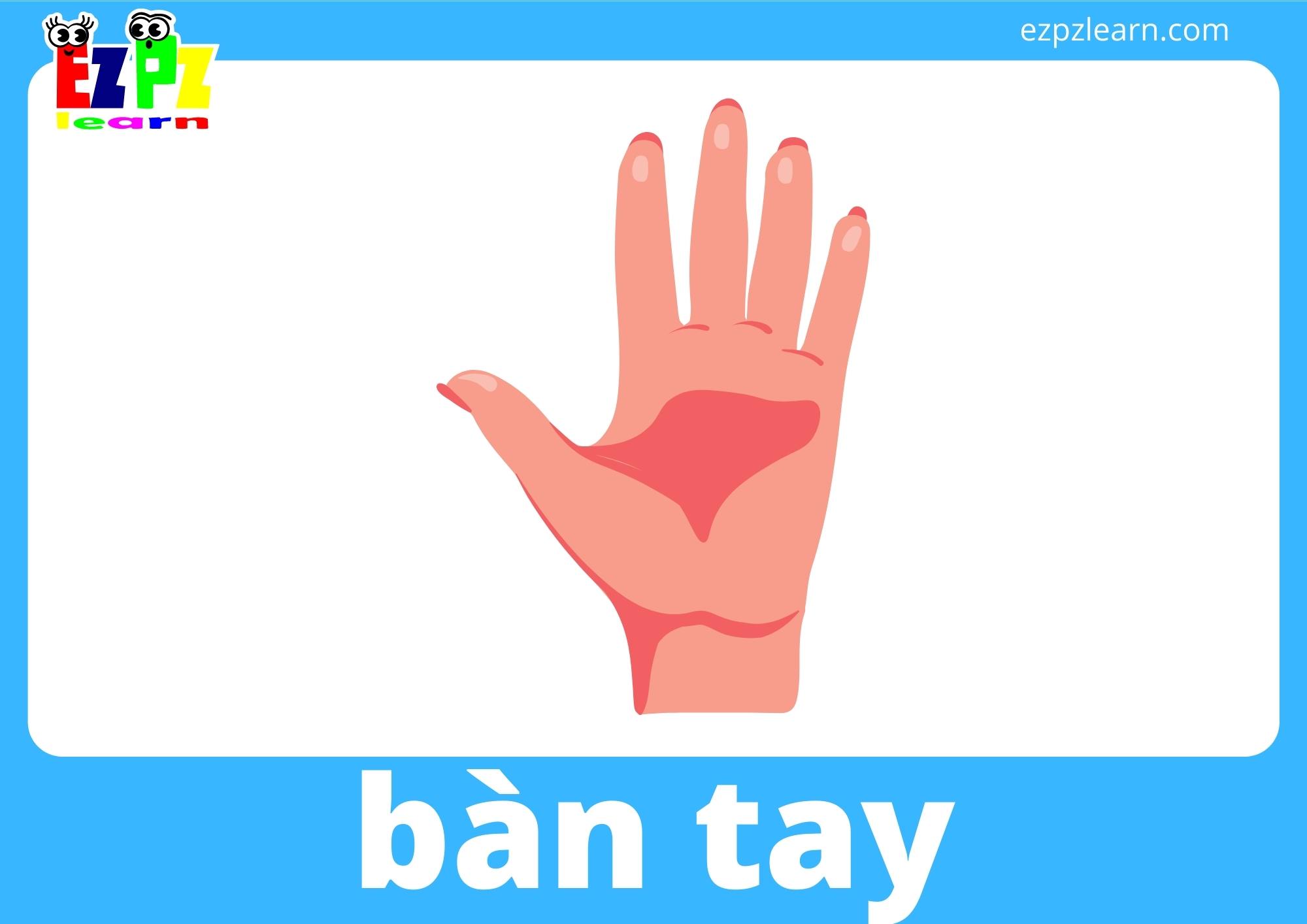 Body Parts - Ezpzlearn.com