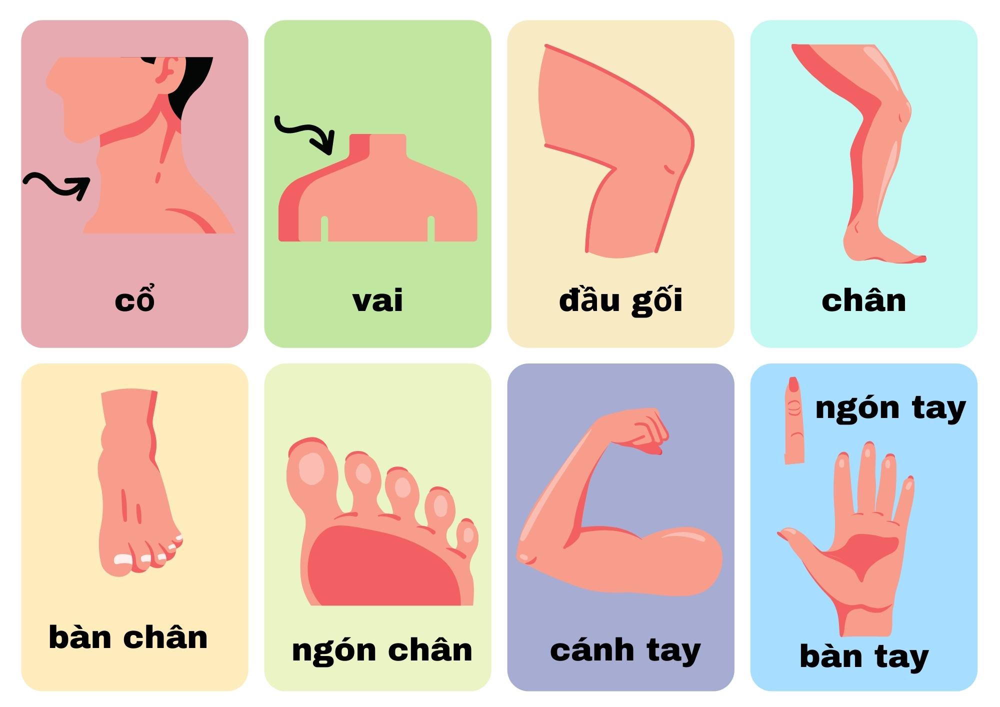Body Parts - Ezpzlearn.com