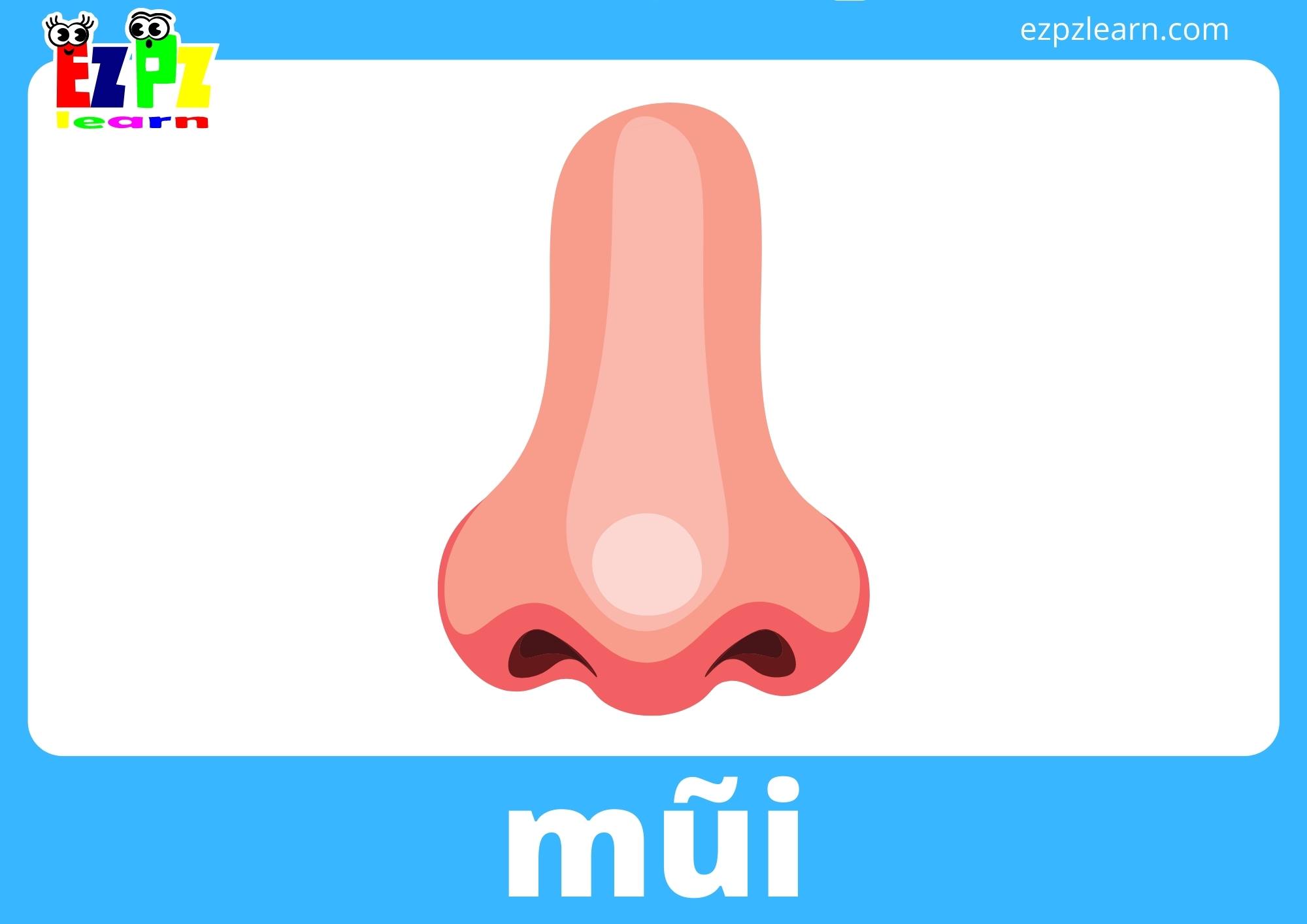 Body Parts - Ezpzlearn.com