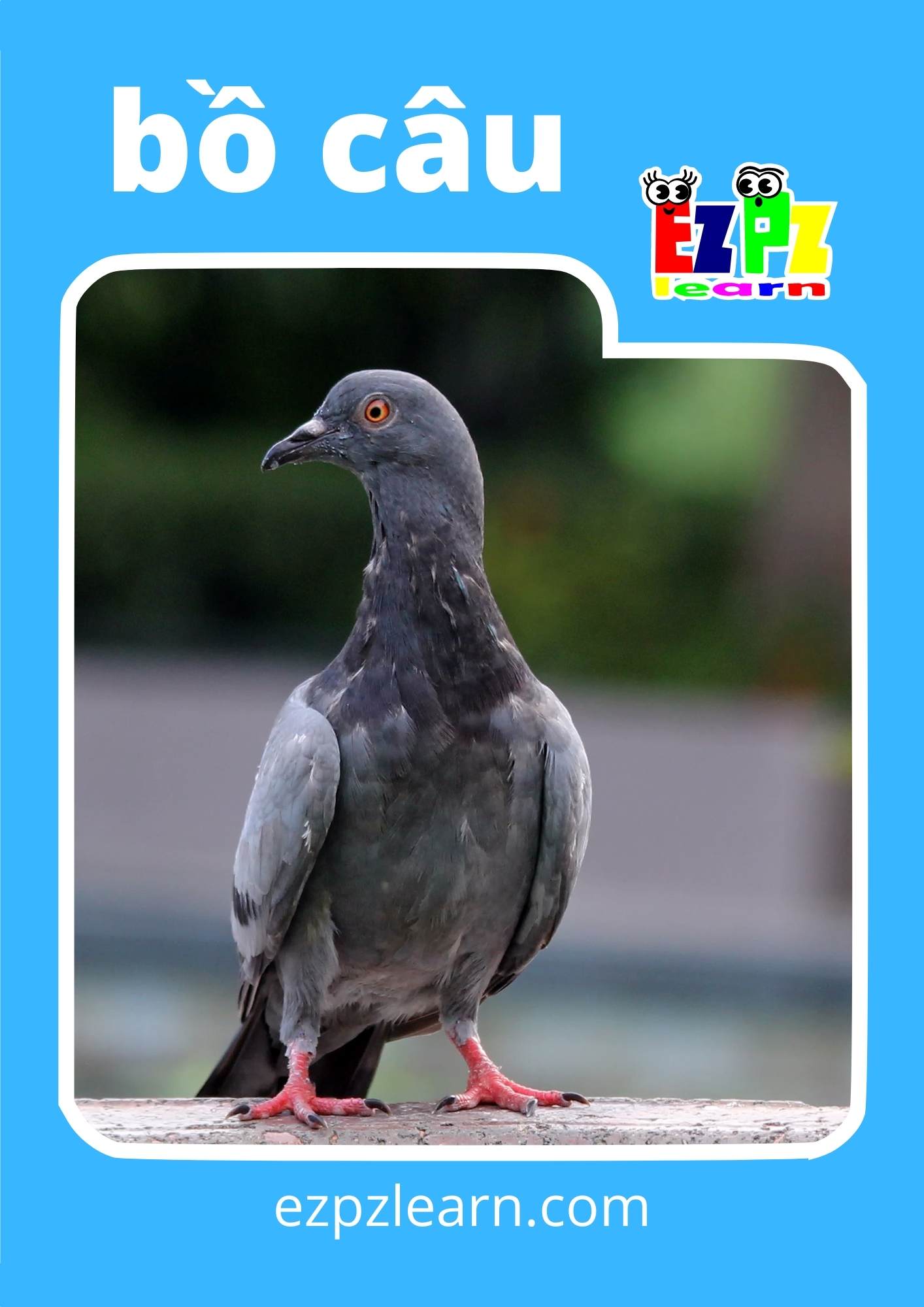 Farm Animals with photos - Ezpzlearn.com