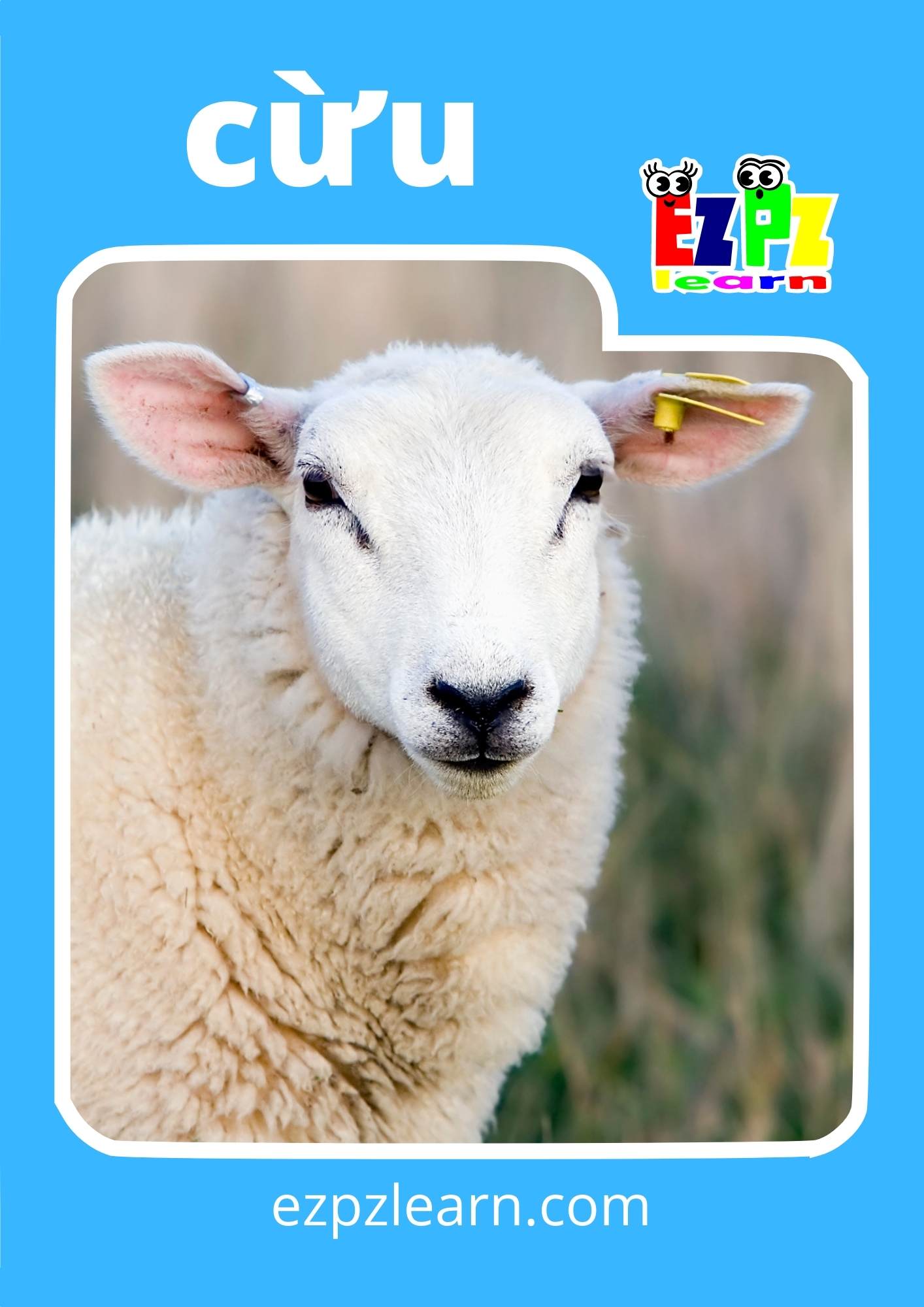 Farm Animals with photos - Ezpzlearn.com