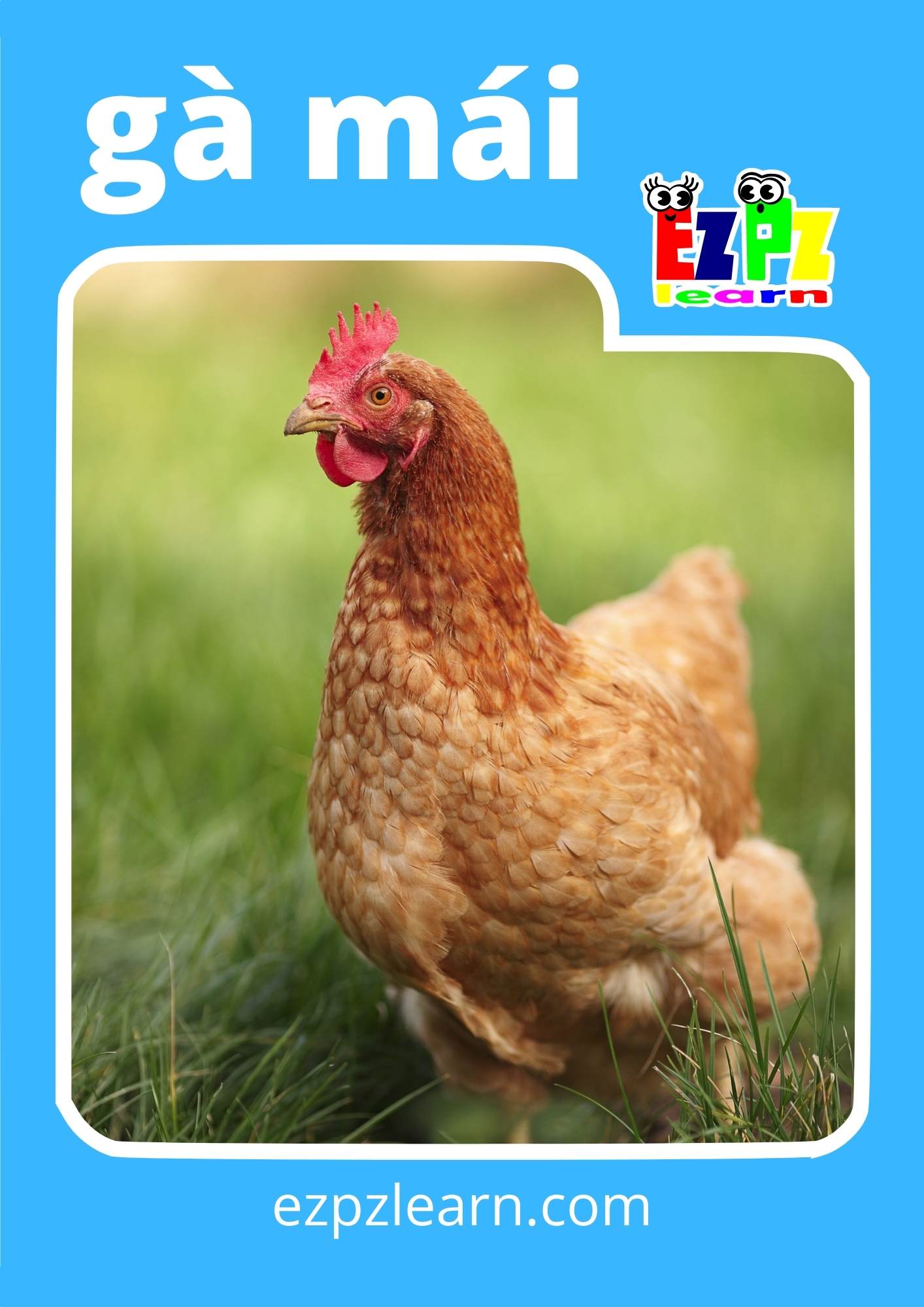 Farm Animals with photos - Ezpzlearn.com