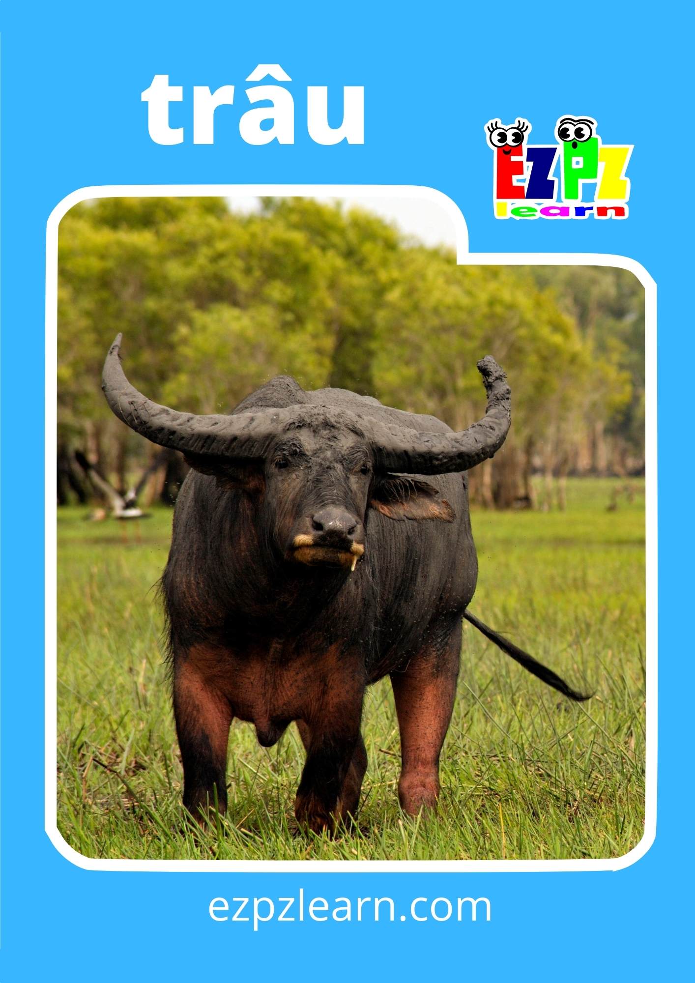 Farm Animals with photos - Ezpzlearn.com