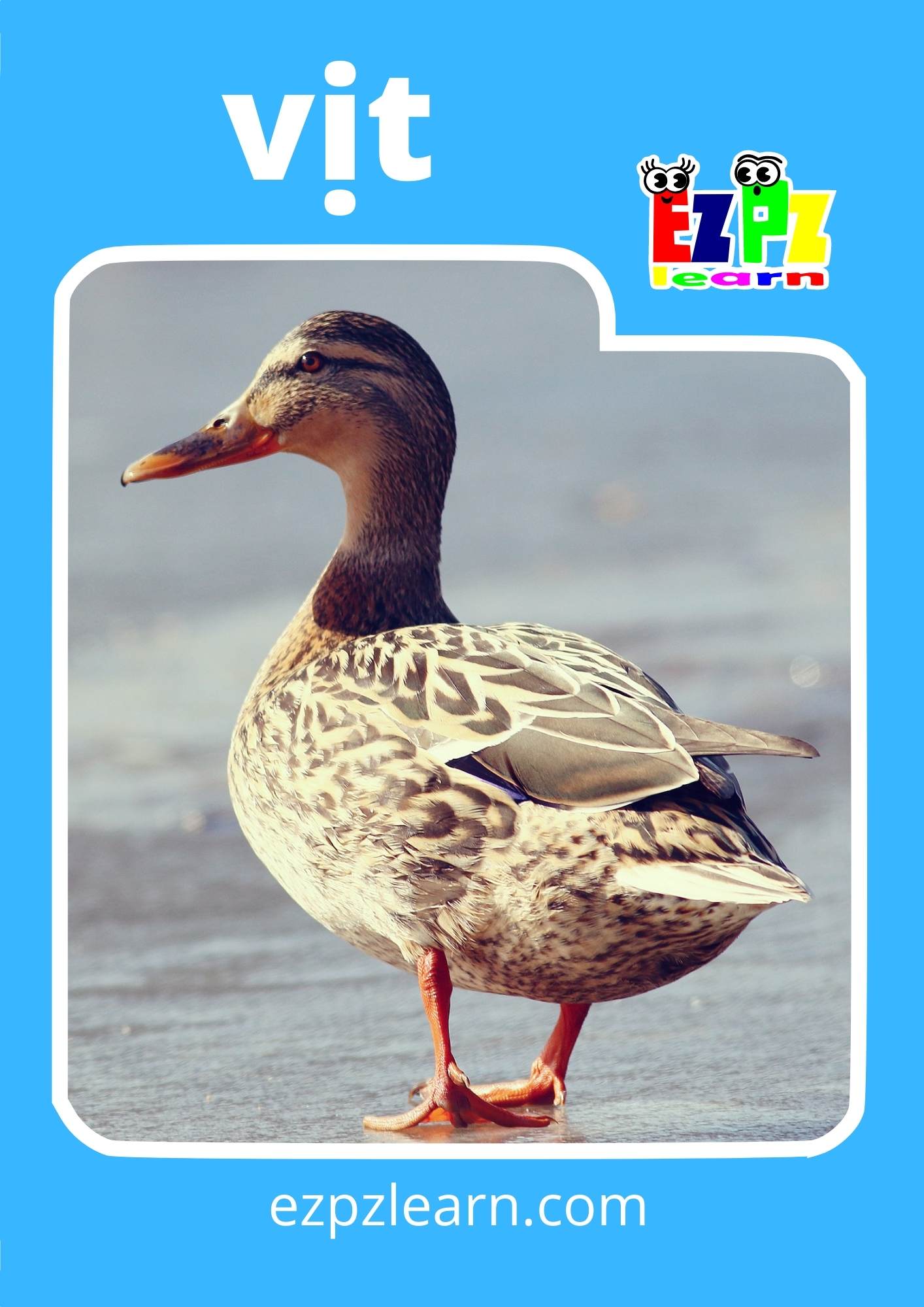 Farm Animals with photos - Ezpzlearn.com