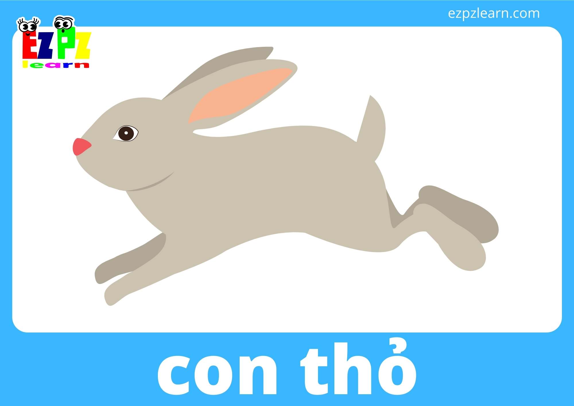 Farm Animals động vật trang trại - Ezpzlearn.com