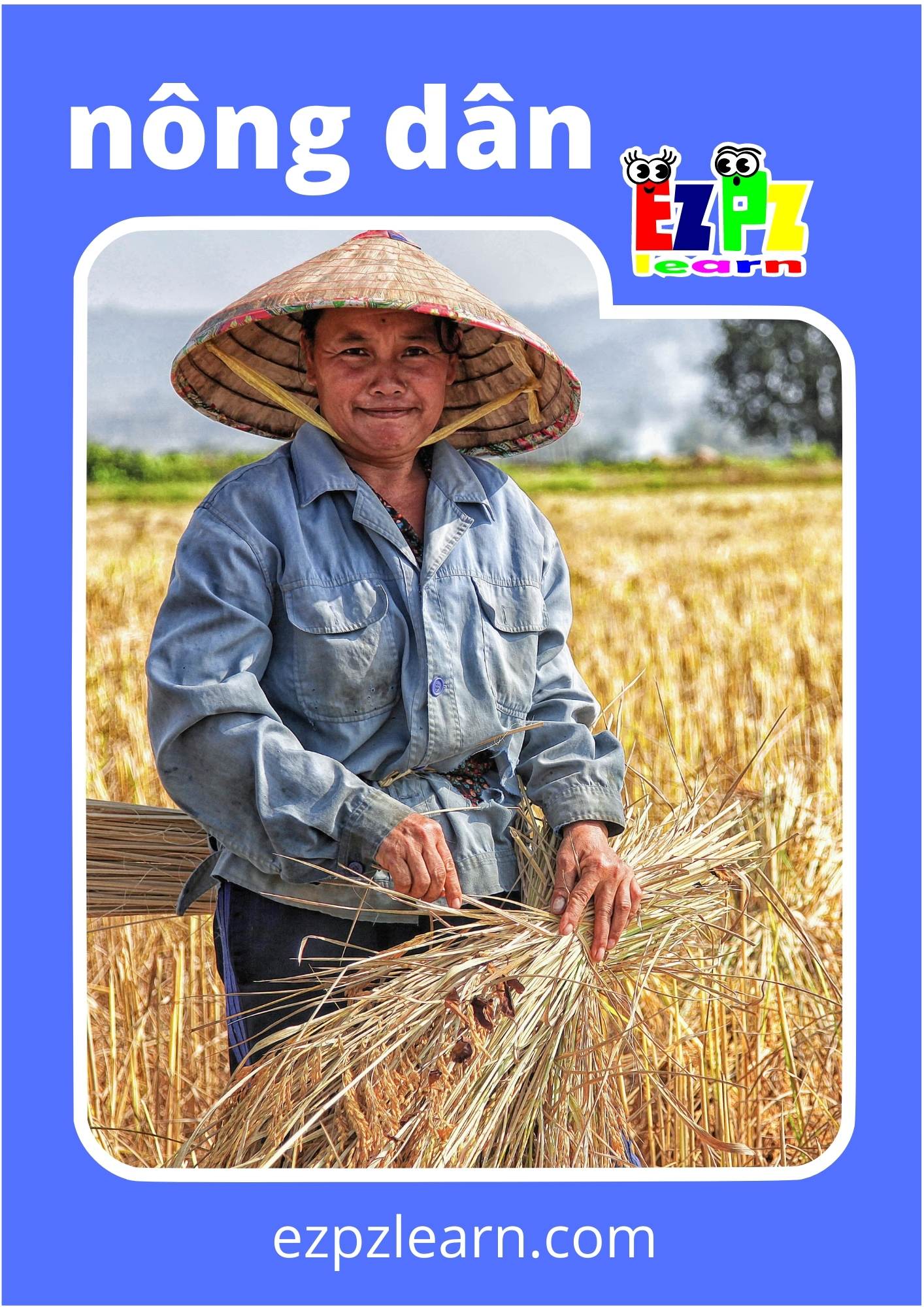 Jobs Photo Flashcards Vietnamese - Ezpzlearn.com