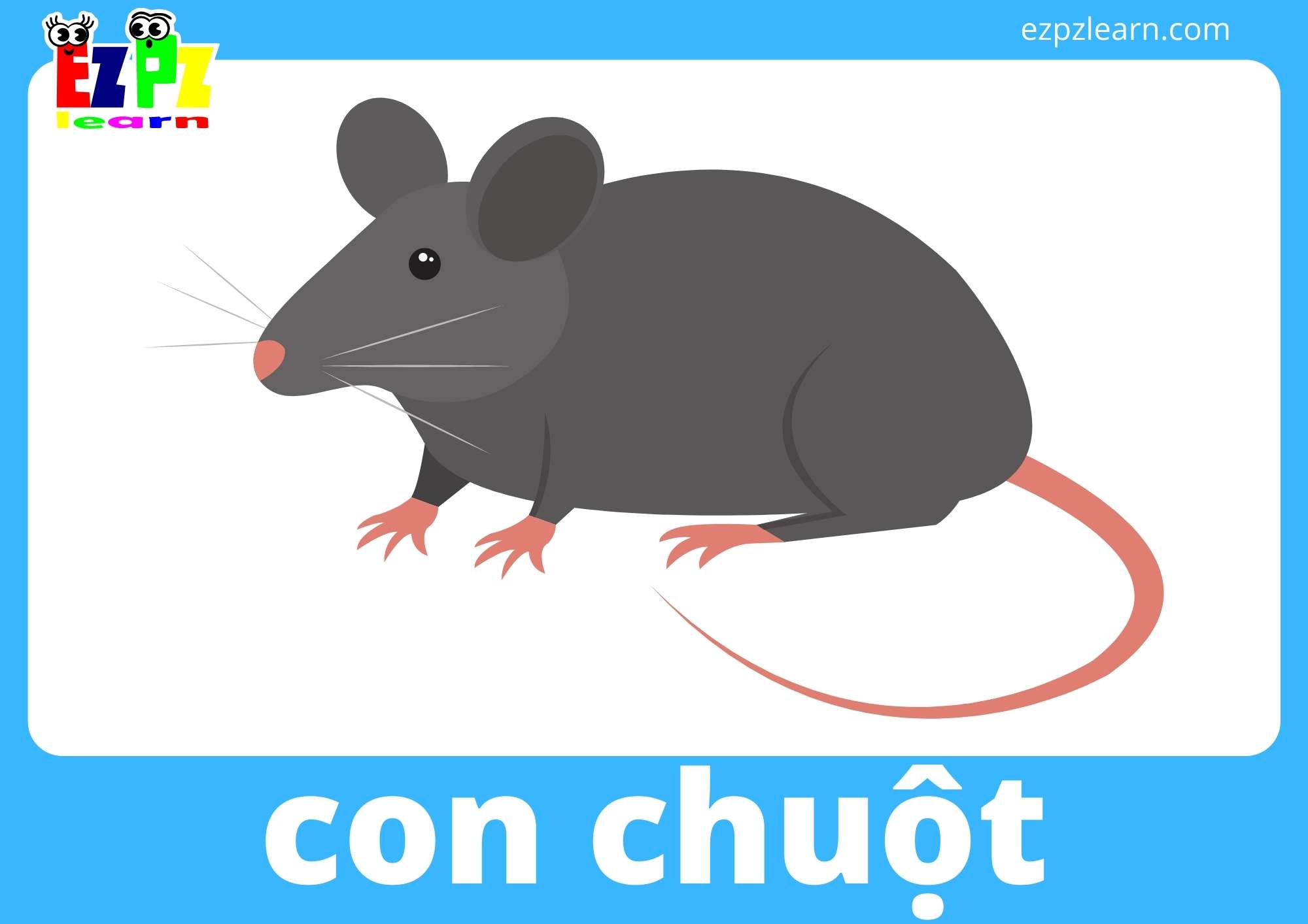Pets - Ezpzlearn.com