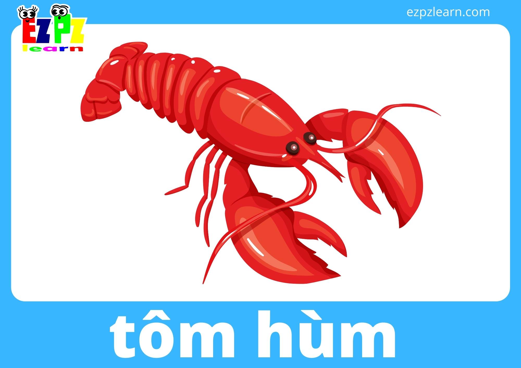 Sea Animals - Ezpzlearn.com