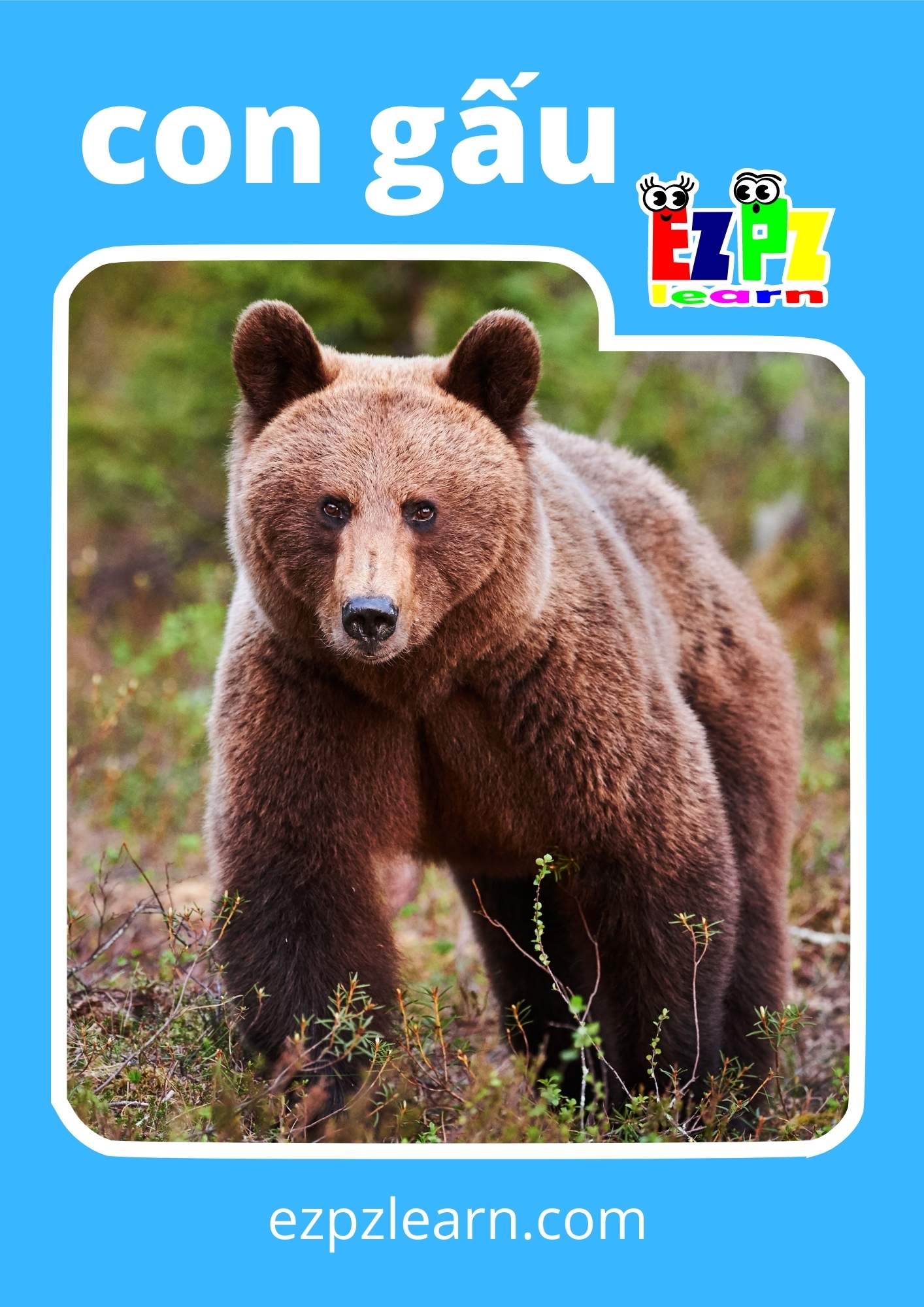 Wild Animals with photos - Ezpzlearn.com