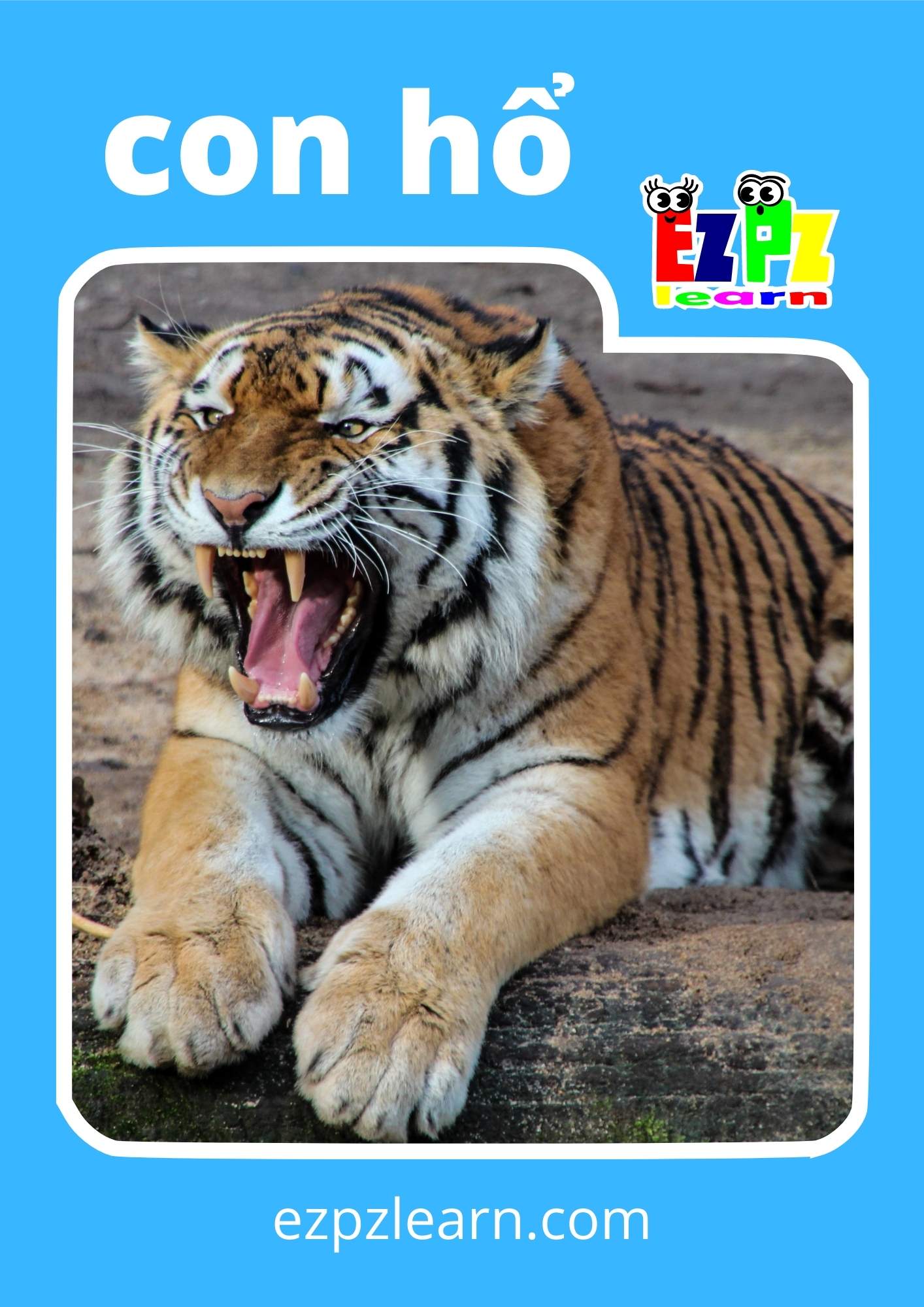 Wild Animals with photos - Ezpzlearn.com