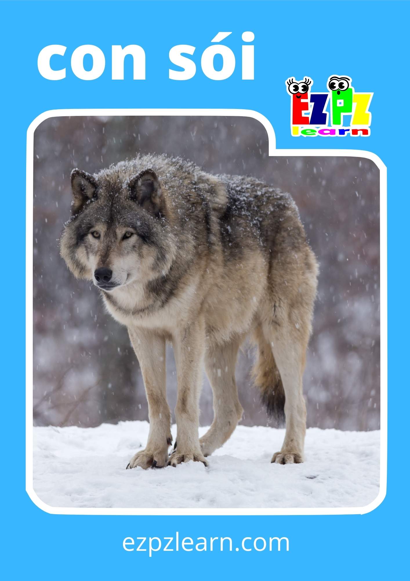 Wild Animals with photos - Ezpzlearn.com