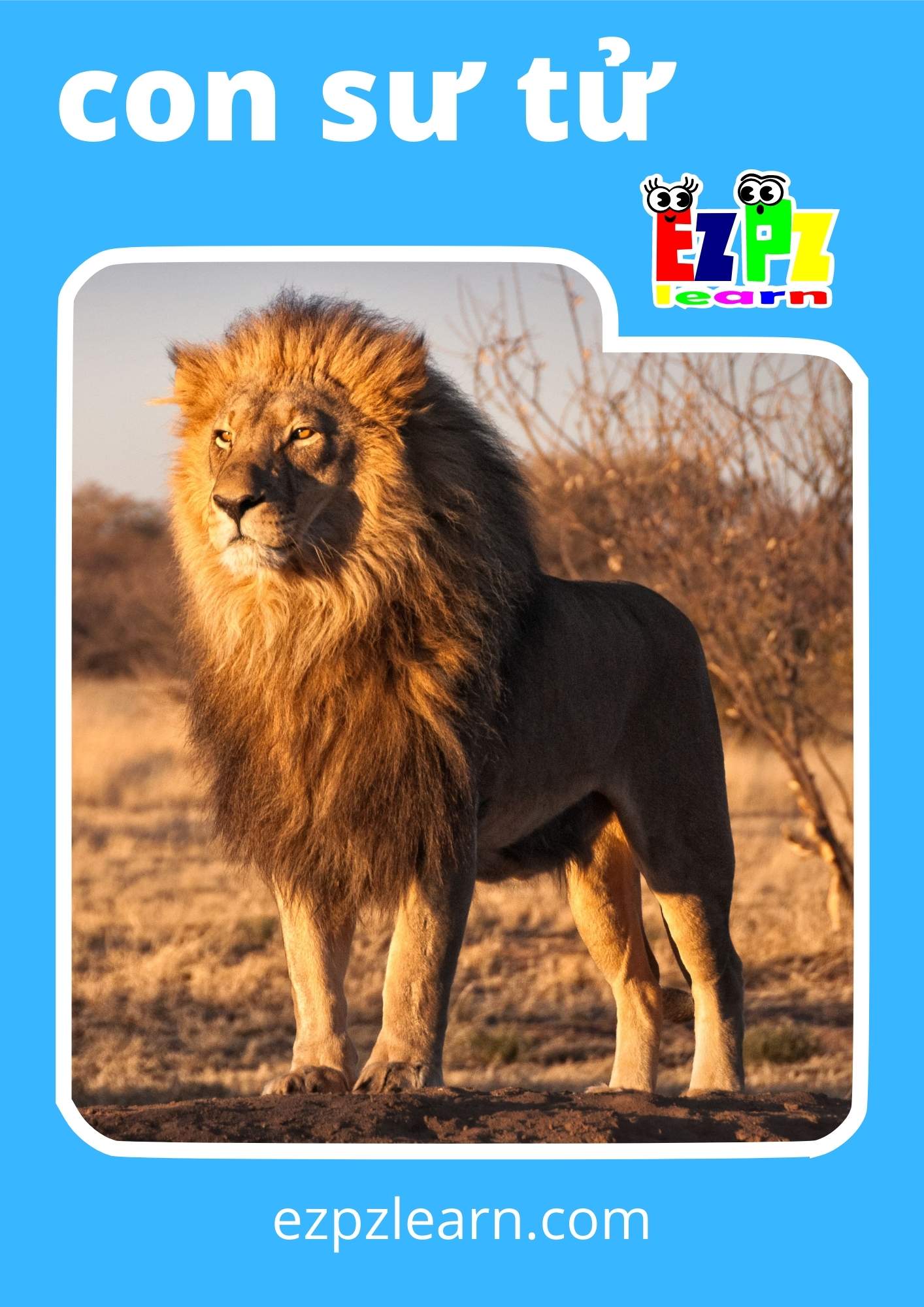 Wild Animals with photos - Ezpzlearn.com