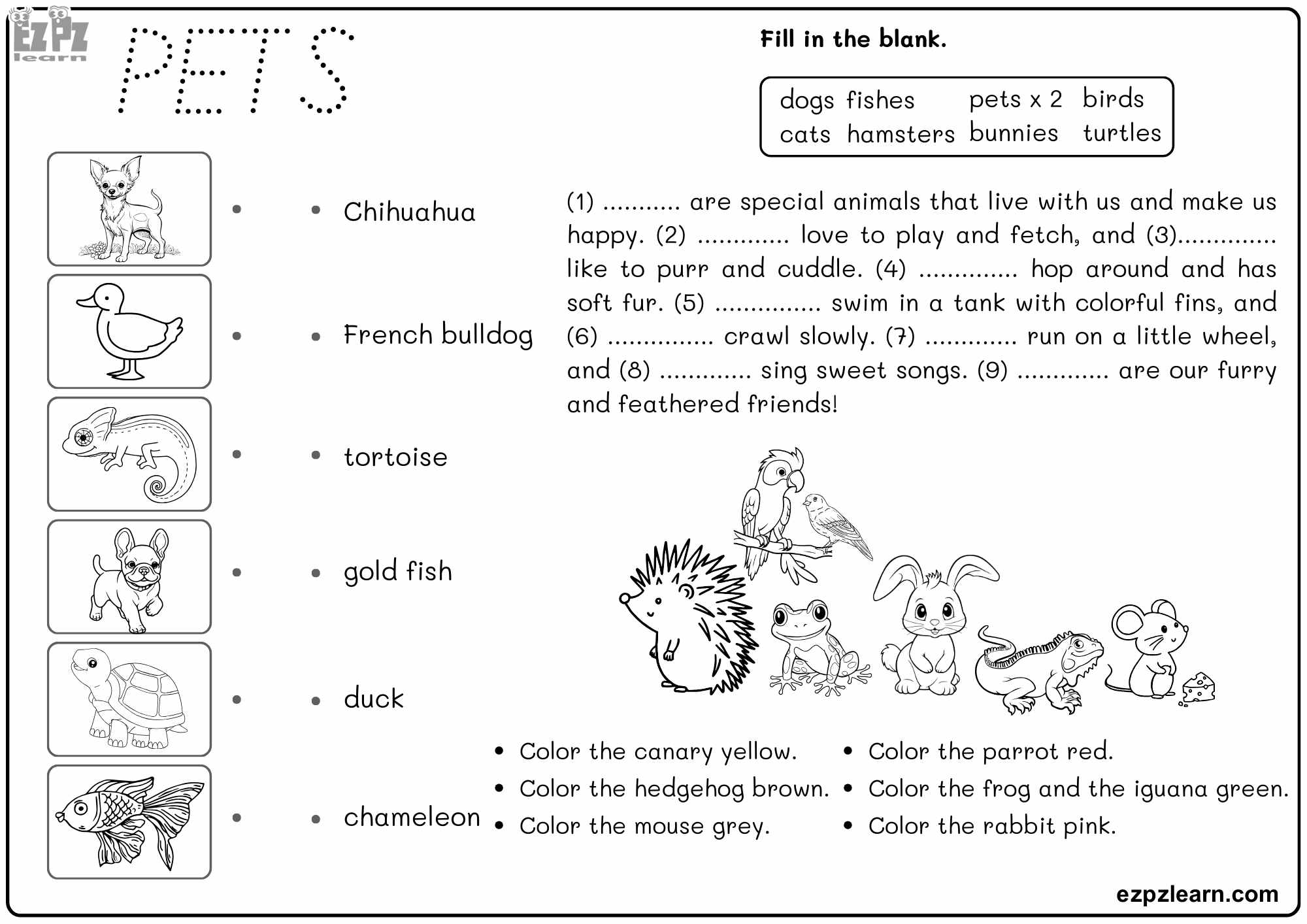 Pets read and fill in the blanks activity for kids. Read and match the ...