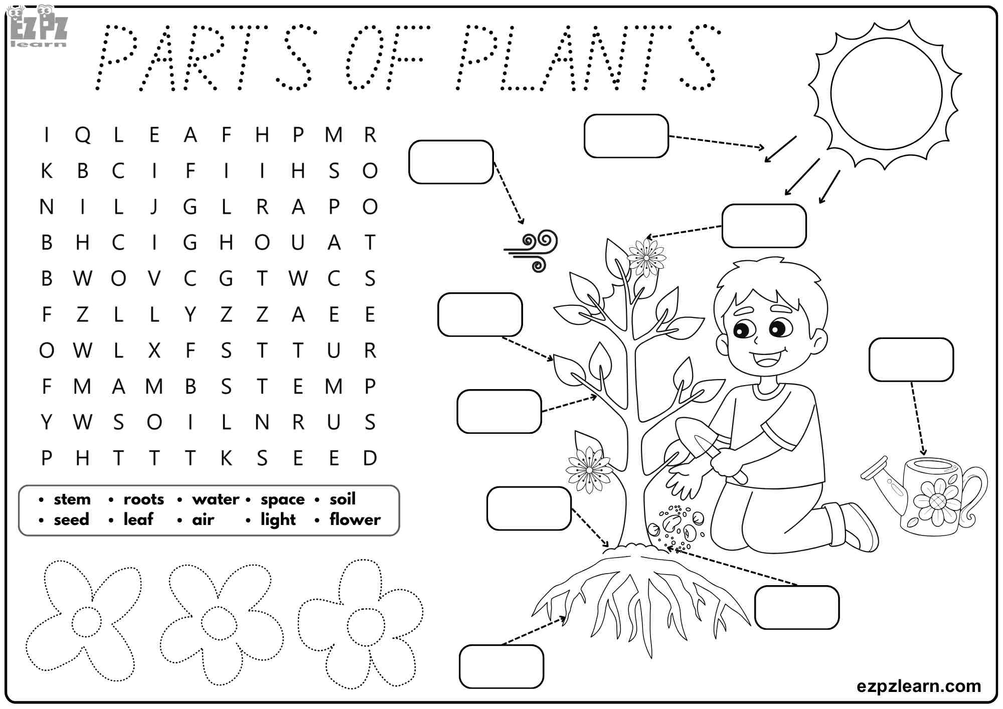 Parts of a Plant Vocabulary For Kids. Includes: Word Search, Coloring ...