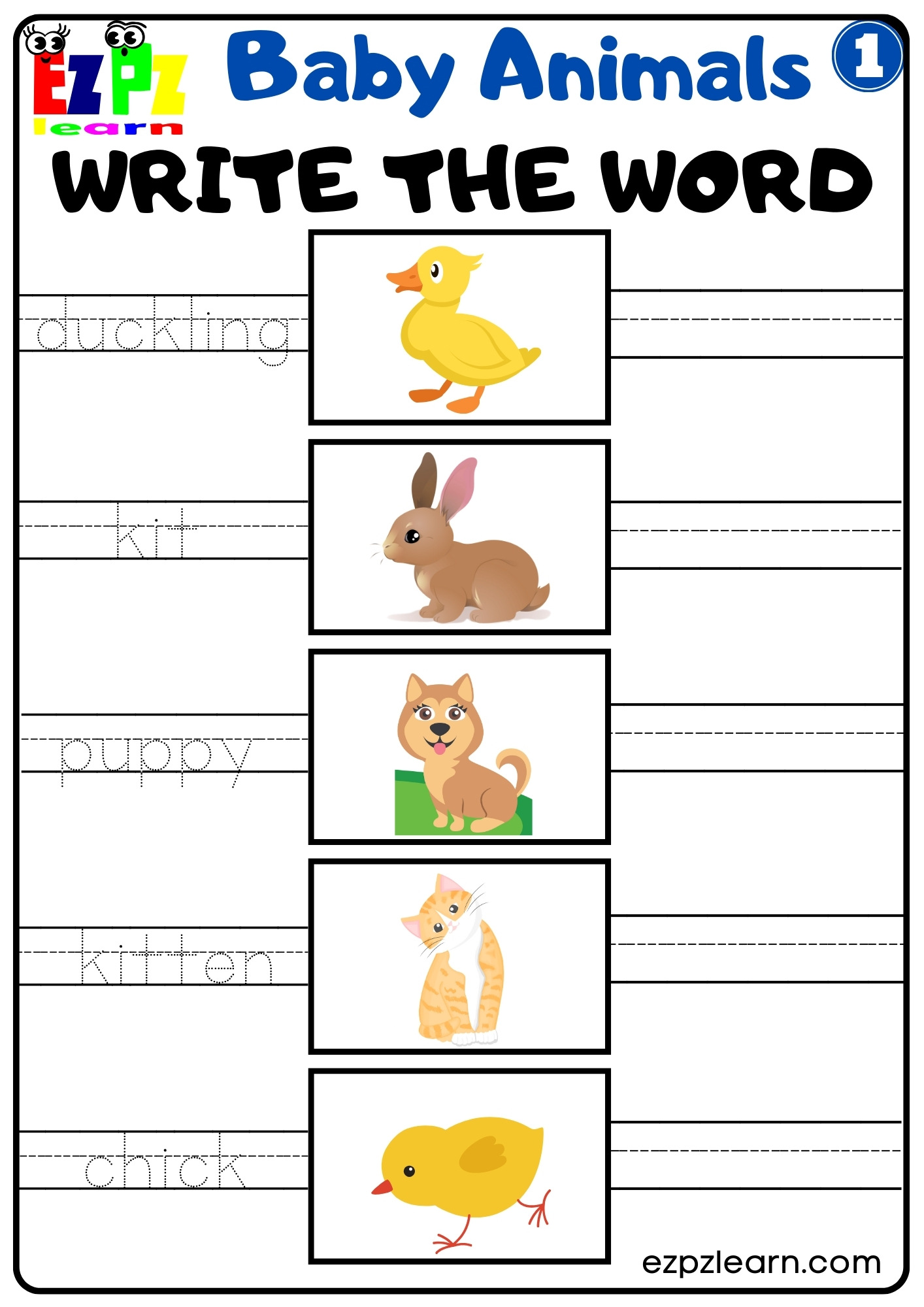 Baby Animals Vocabulary Write the Words Activity for English Language ...