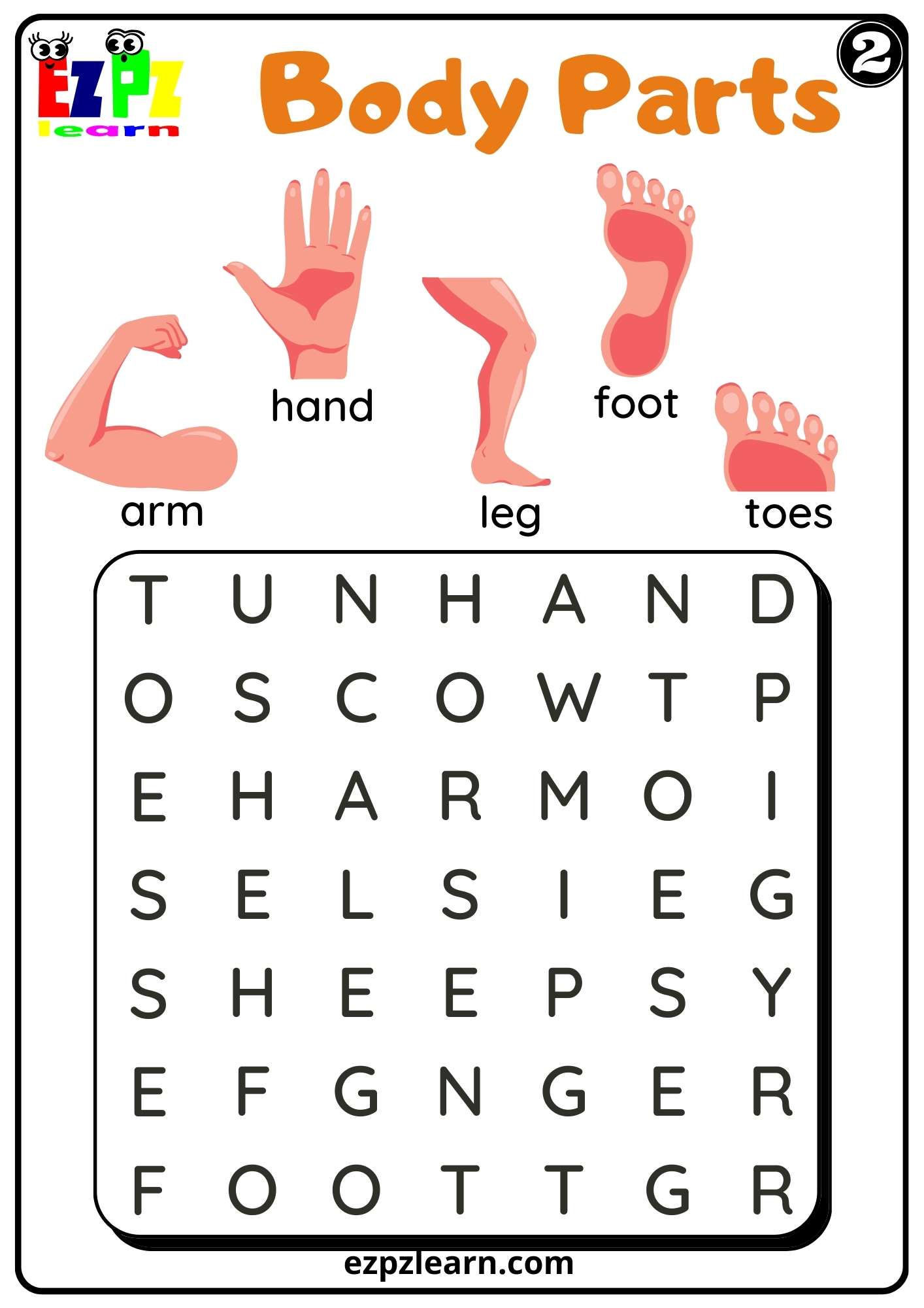 Body Parts Word Search