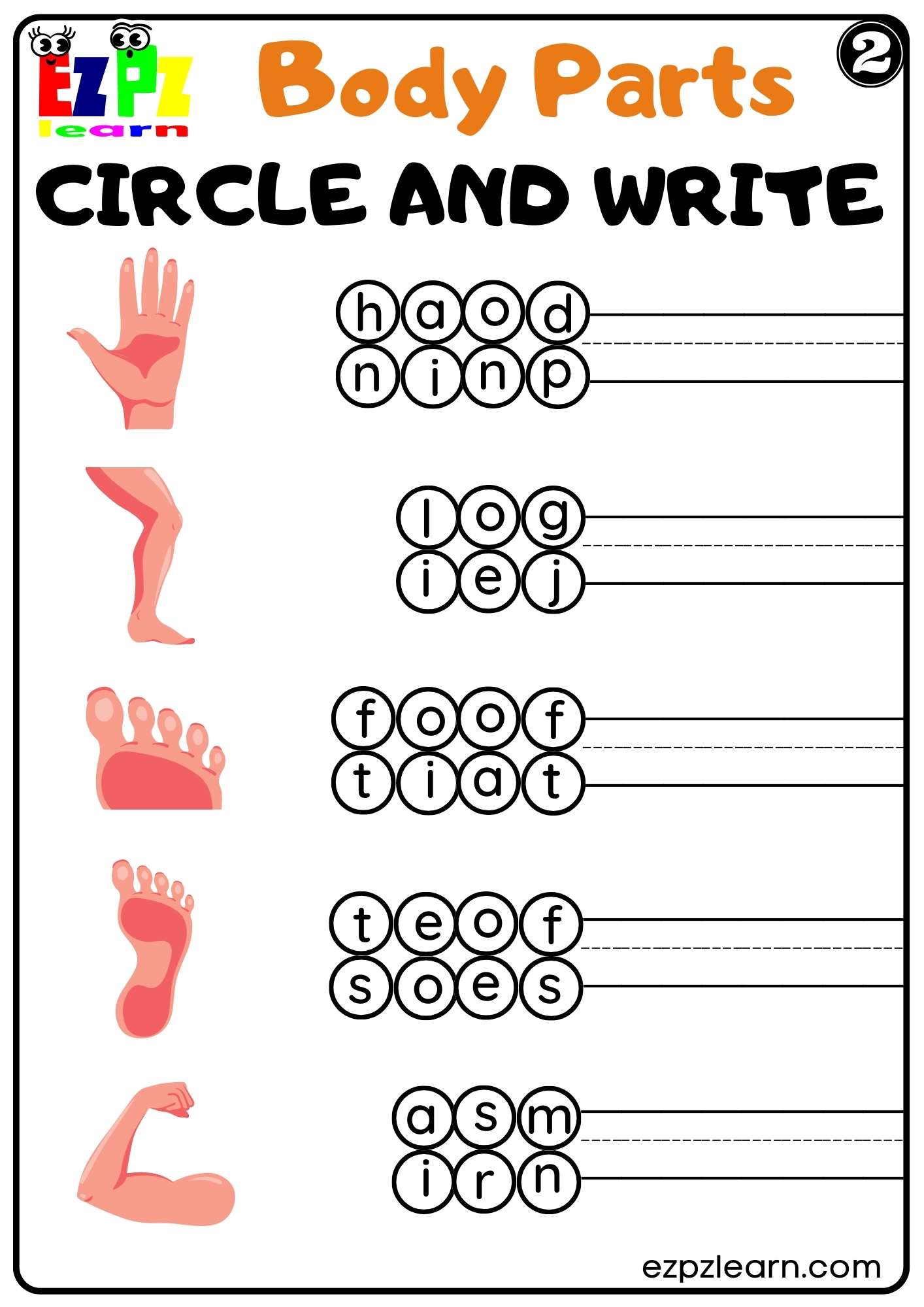 Body Parts Circle and Write Worksheets for Kids and ESL PDF Download ...