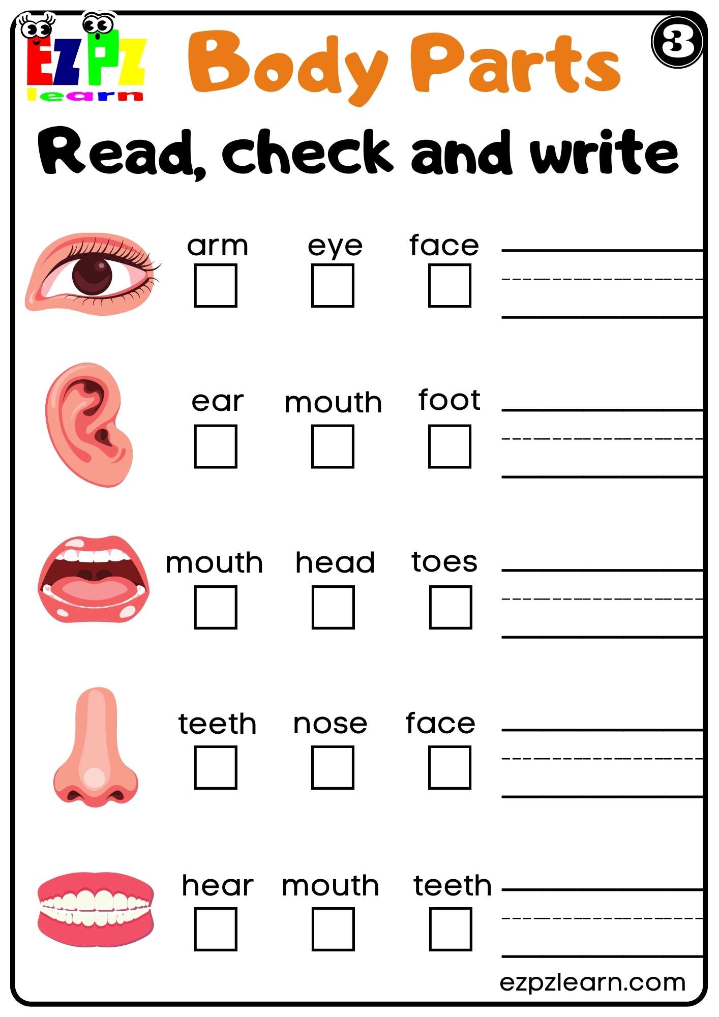 Body Parts Read Check and Write Worksheet for Kids and ESL PDF Download ...