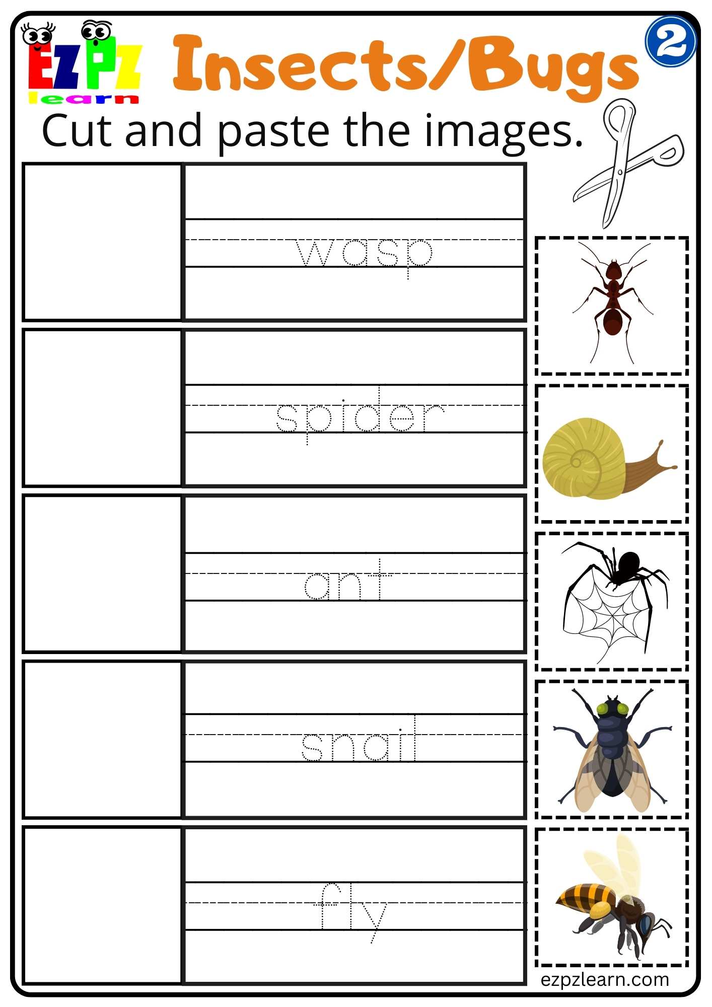 Insects Bugs - Ezpzlearn.com