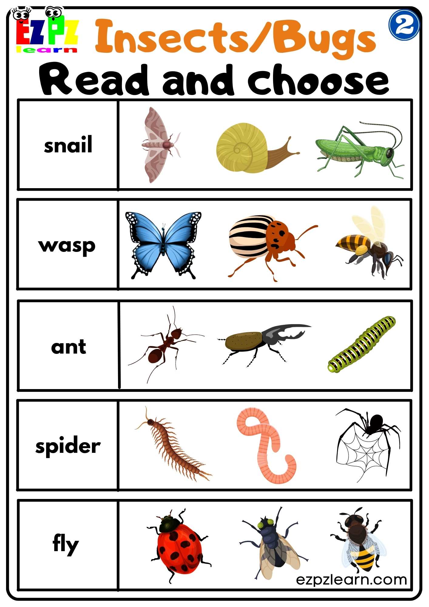 Insects Bugs - Ezpzlearn.com