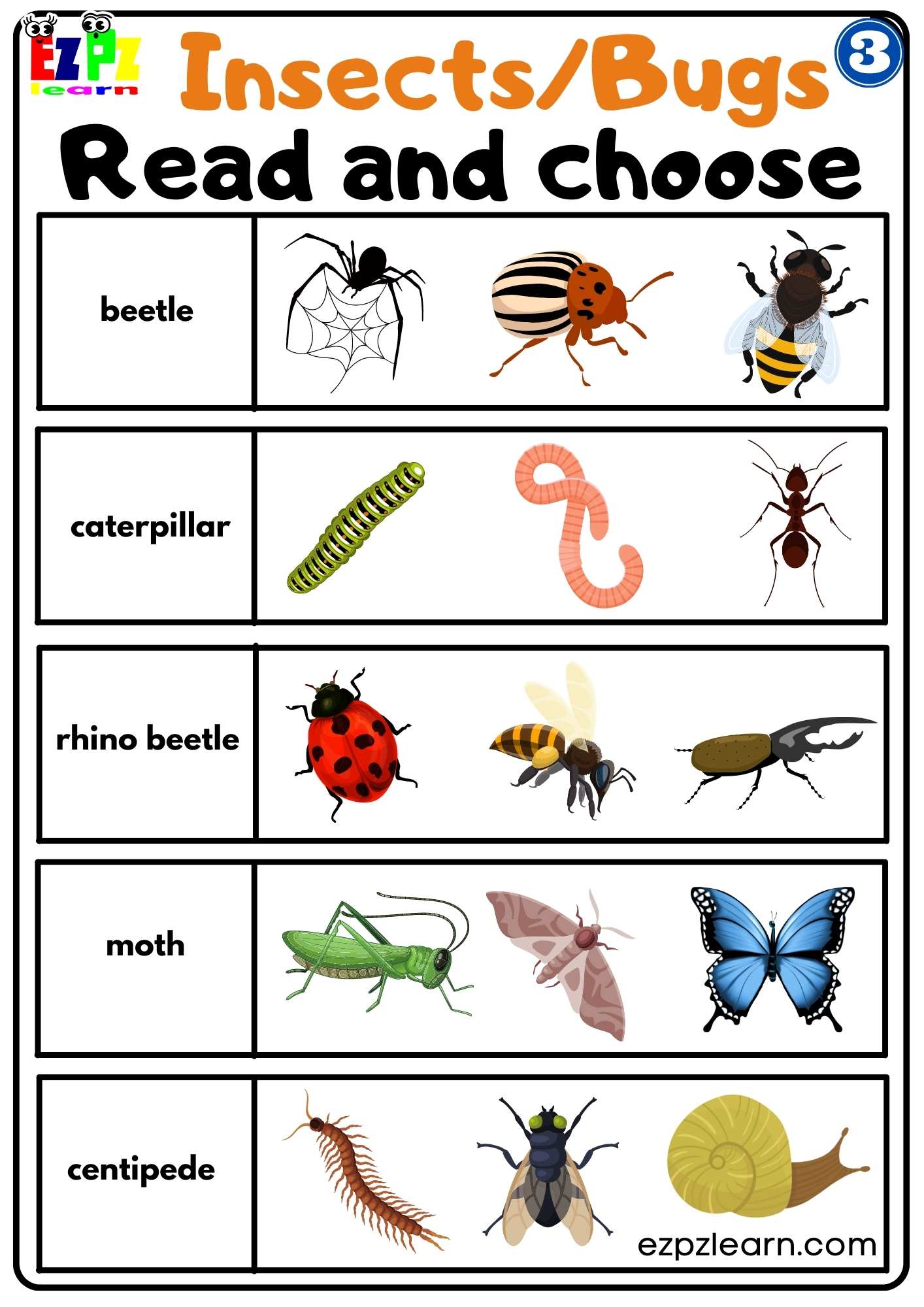 Group 3 Bugs and Insects Read and Choose Worksheet PDF Download For ...