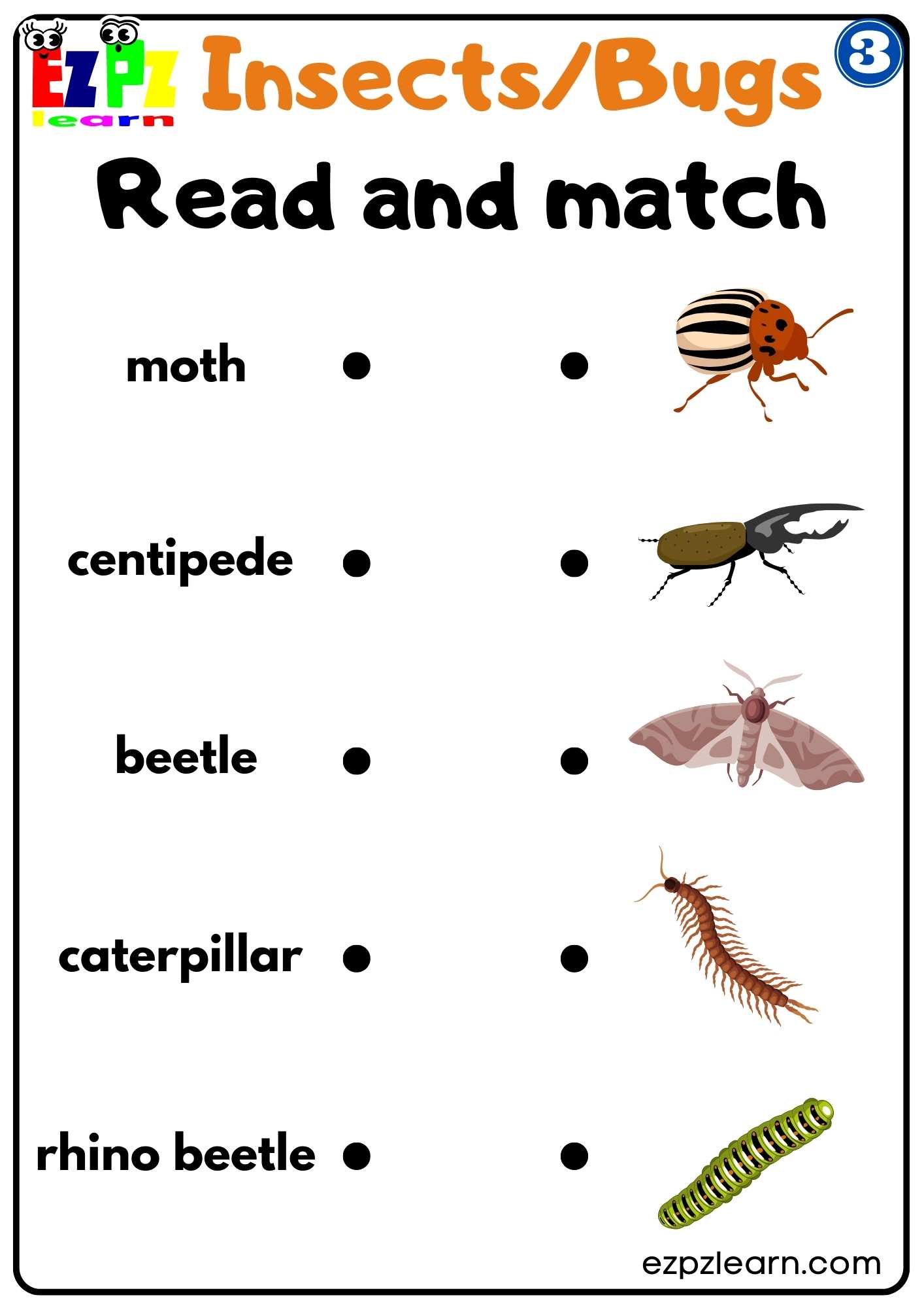 Group 3 Bugs and Insects Read and Match Worksheet PDF Download For ...