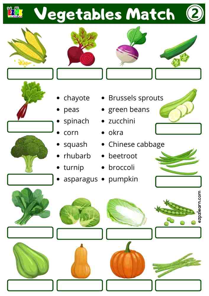 Vegetable Writing Worksheet – Look at the Images and Write the Correct ...