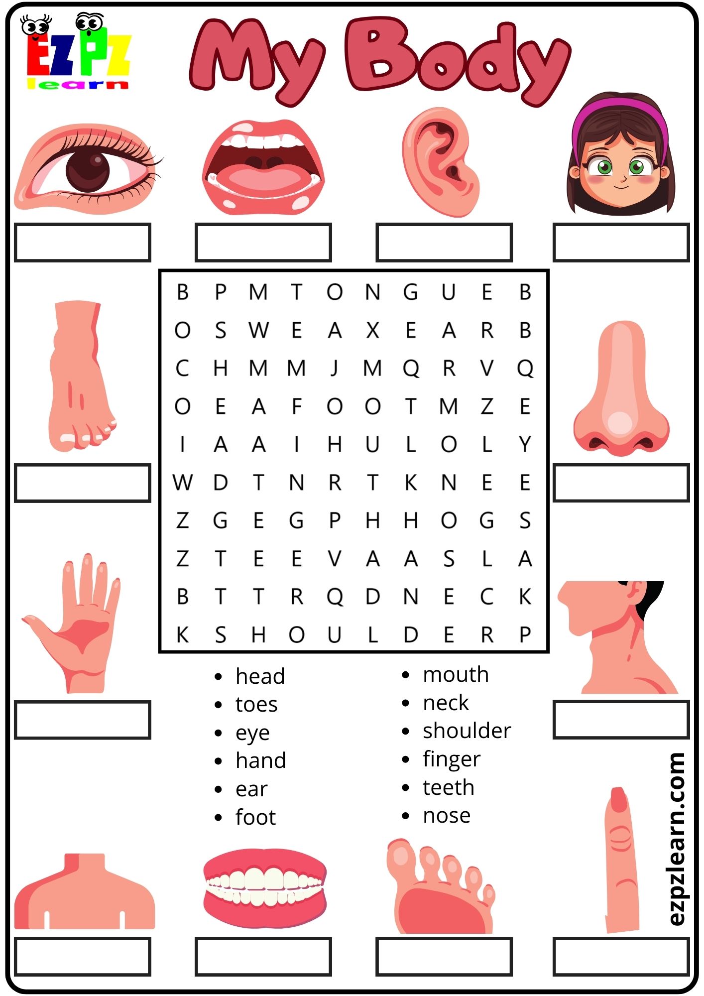 My Body Vocabulary Word Search and Match the Words Activity - Ezpzlearn.com