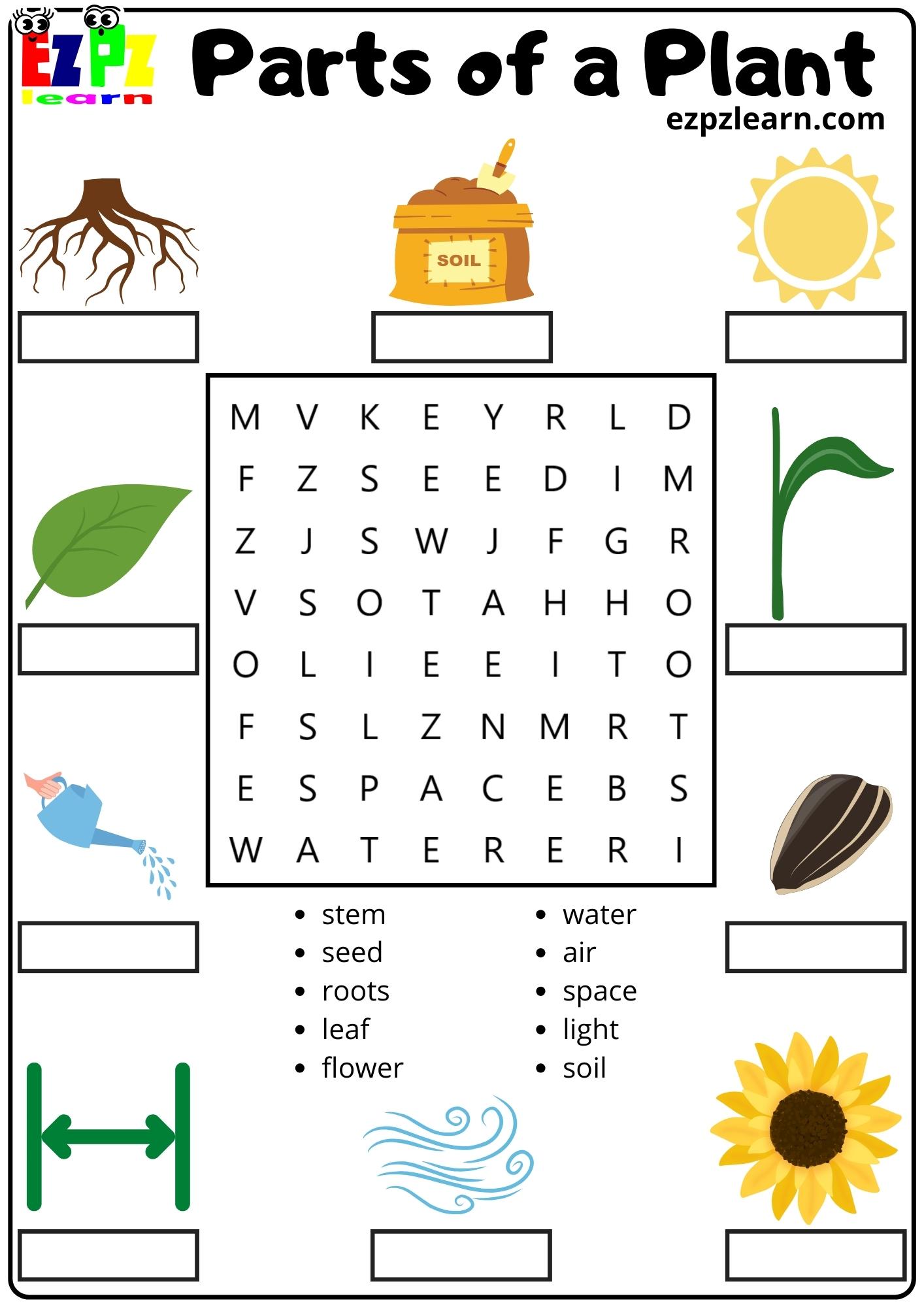 Parts of a Plant Word Search and Match the Words for Kids and English ...