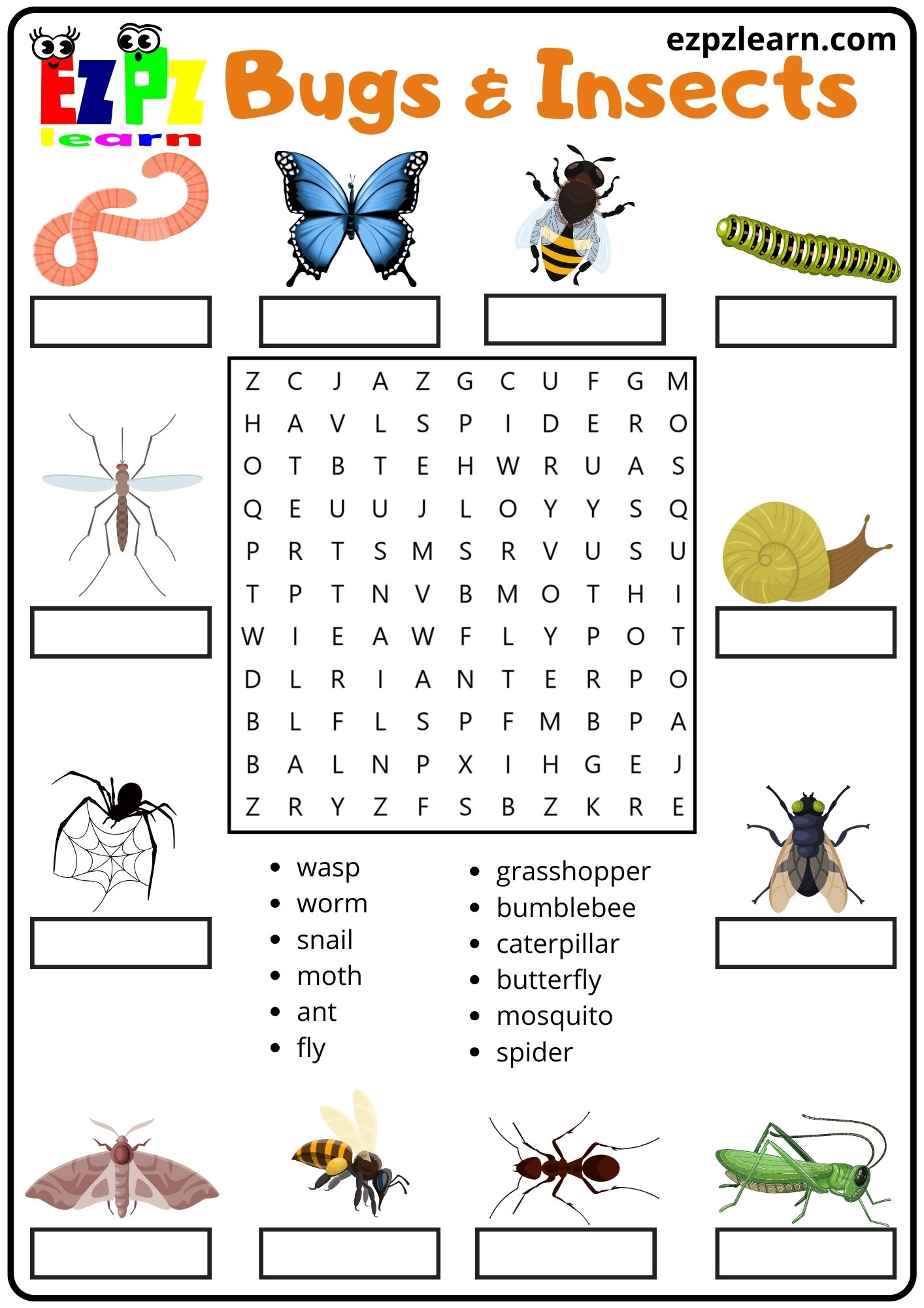 Bugs and Insects Vocabulary Word Search and Match the Words Activity ...