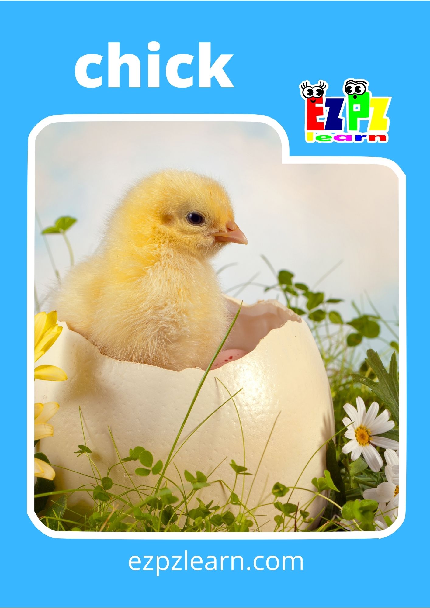 Farm Animals Photo Flashcards View Online or Free PDF Download ...
