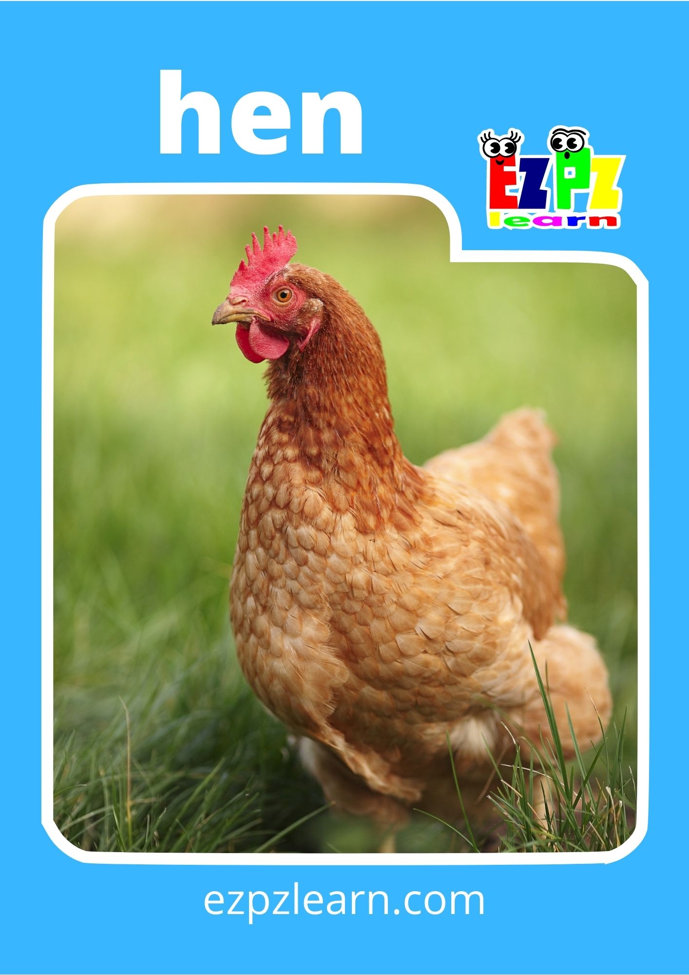 Farm Animals Photo Flashcards - Ezpzlearn.com