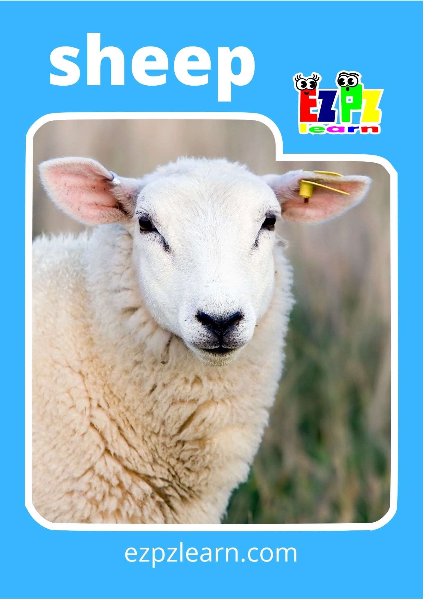 Farm Animals Photo Flashcards - Ezpzlearn.com