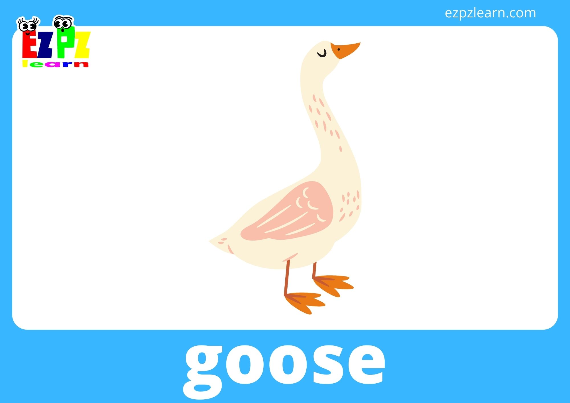 Farm Animals Flashcards with Words Includes: pig, cow, chicken, horse ...