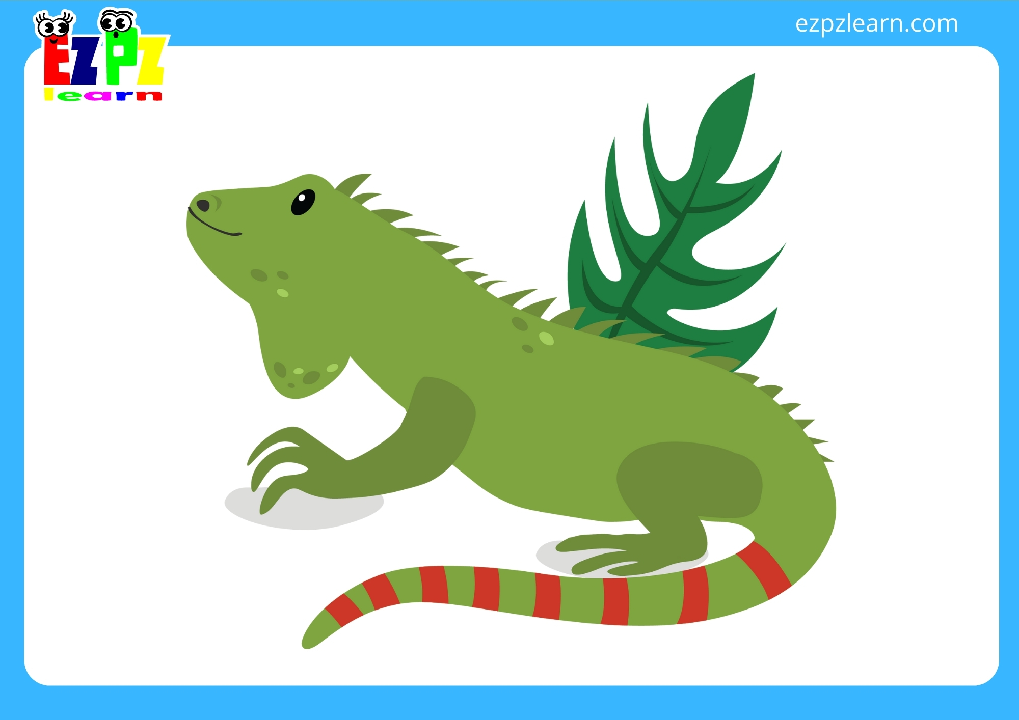 Pets Flashcards Use online or download PDF file Free to use online ...