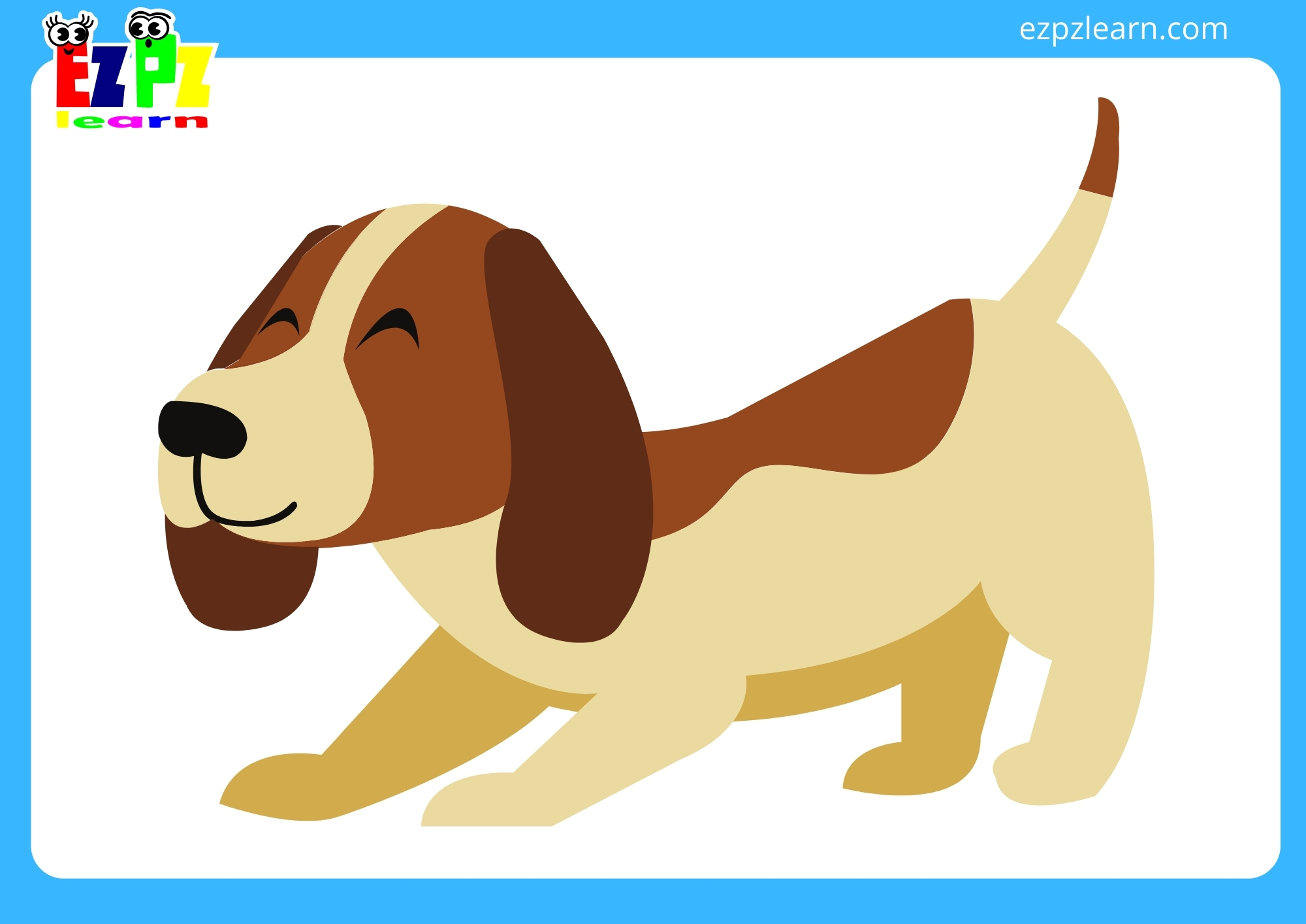 Pets Flashcards Use online or download PDF file Free to use online ...