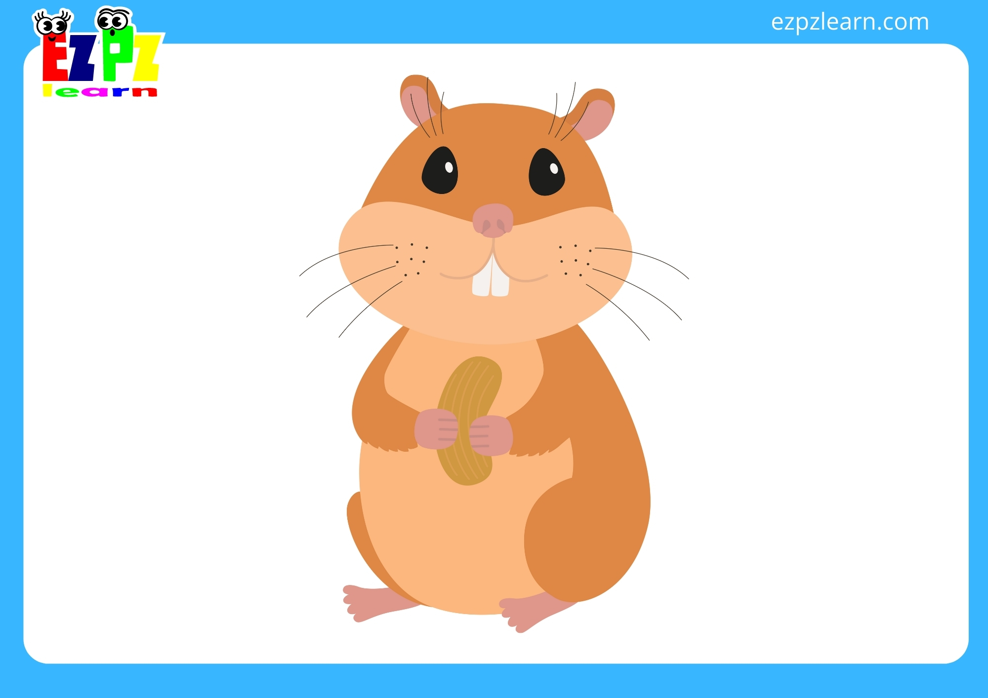 Pets Flashcards No Words ONLINE - Ezpzlearn.com