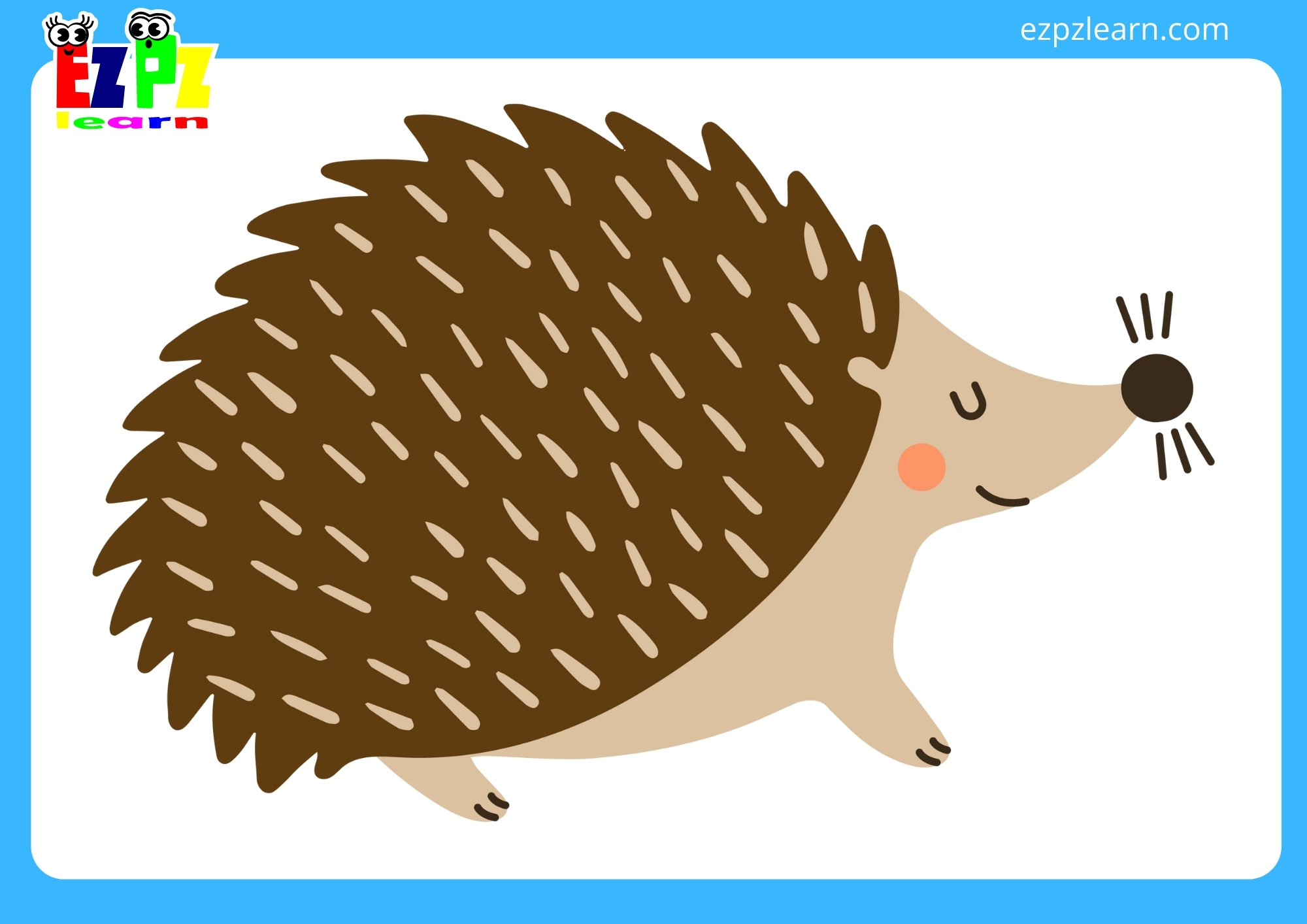 Pets Flashcards Use online or download PDF file Free to use online ...