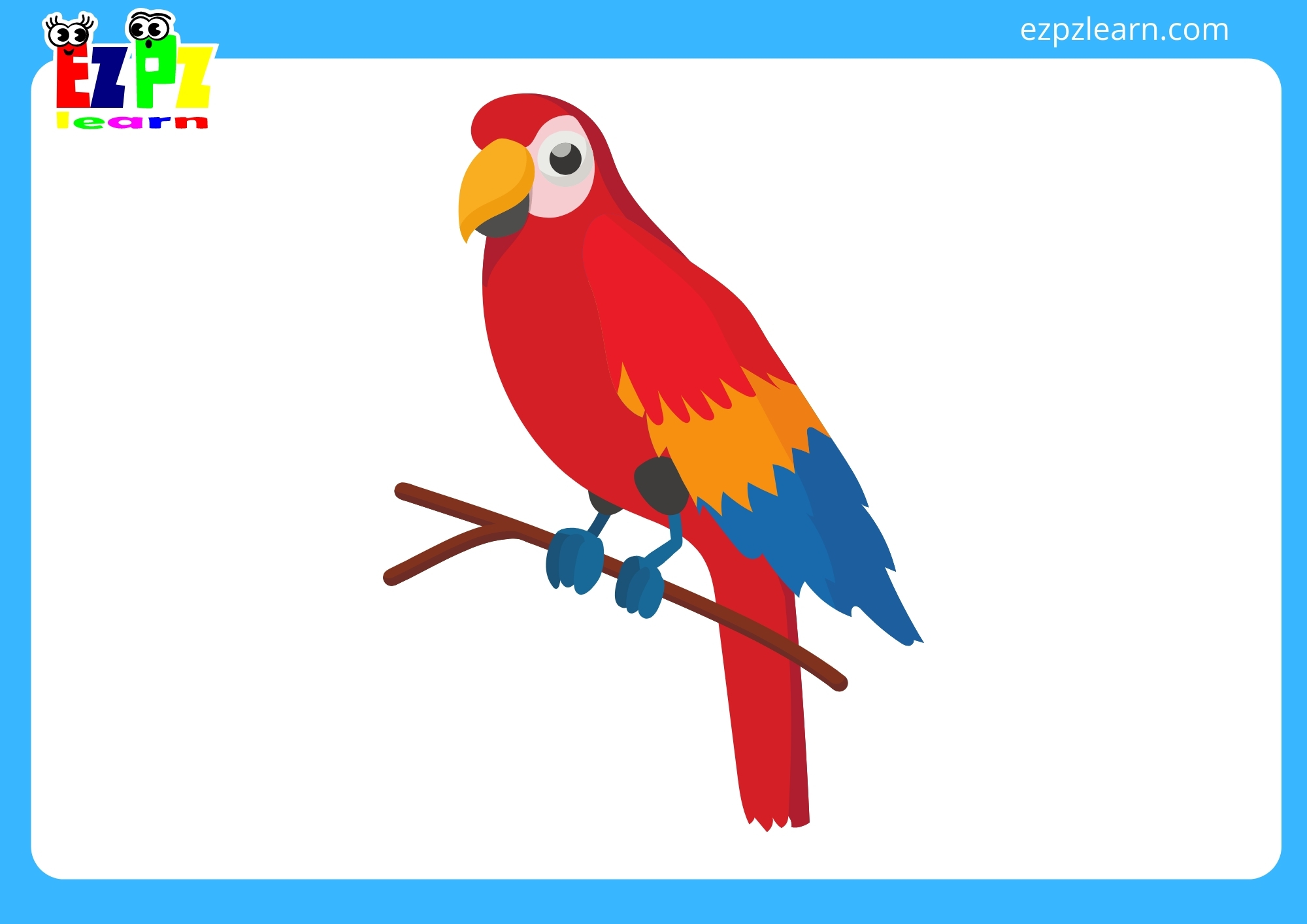 Pets Flashcards No Words ONLINE - Ezpzlearn.com