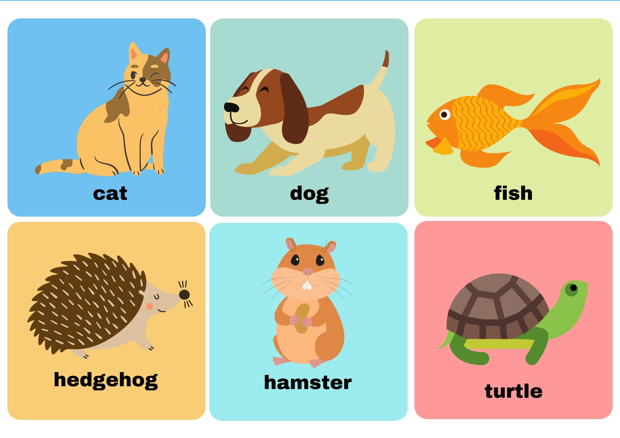 Pets Flashcards Use online or download PDF file Free to use online ...