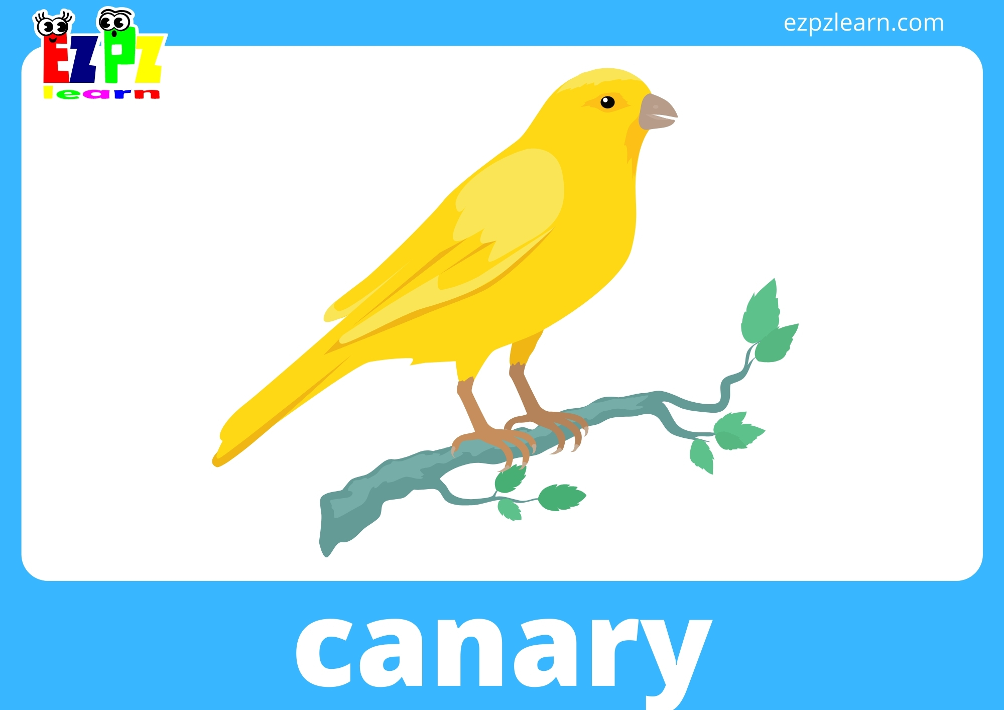 Pets Flashcards Use online or download PDF file - Ezpzlearn.com