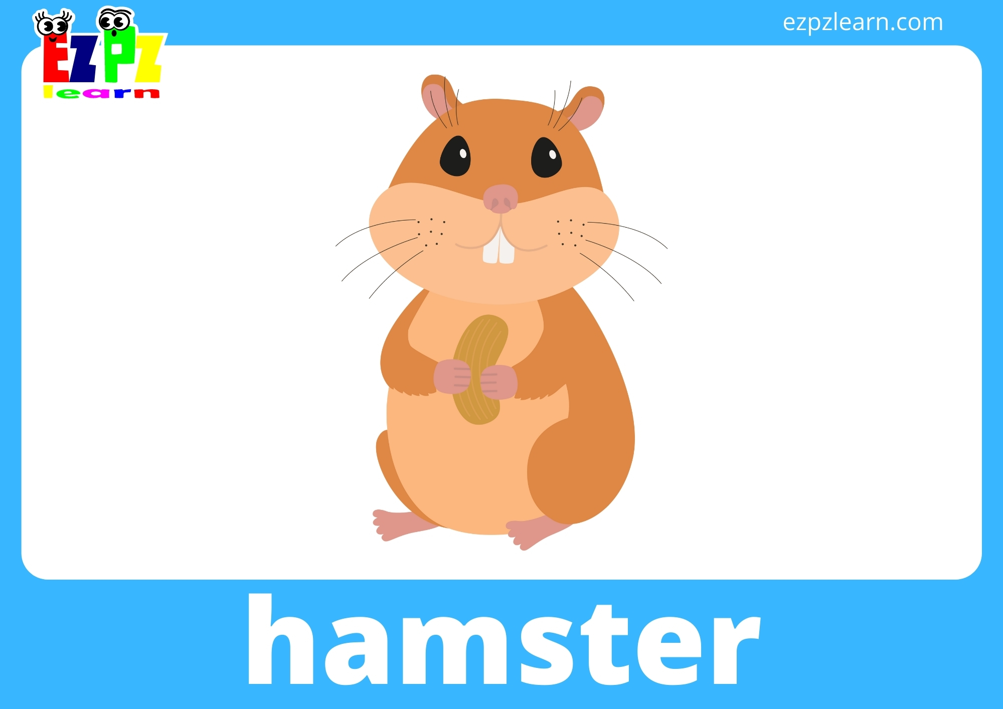 Pets Flashcards Use online or download PDF file - Ezpzlearn.com