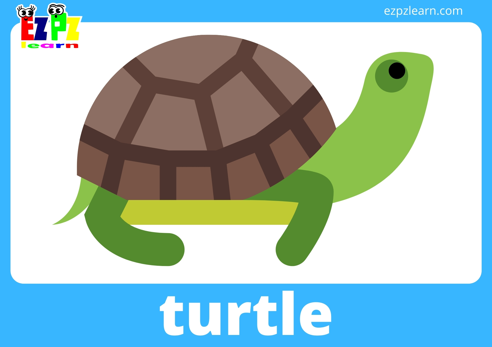 Pets Flashcards Use online or download PDF file - Ezpzlearn.com