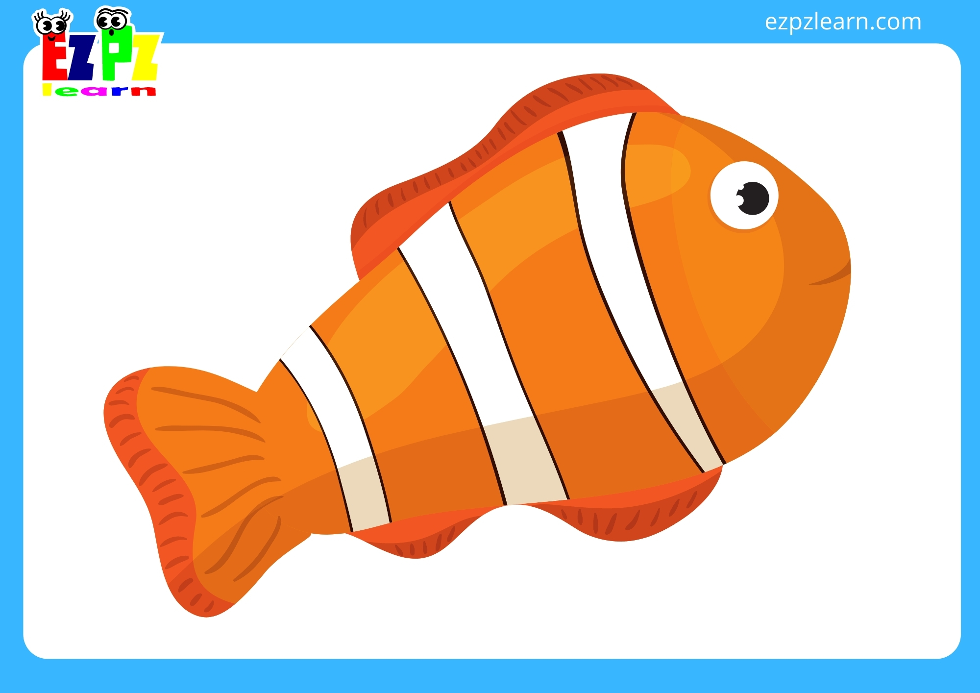 Sea Animals Flashcards without words - Ezpzlearn.com