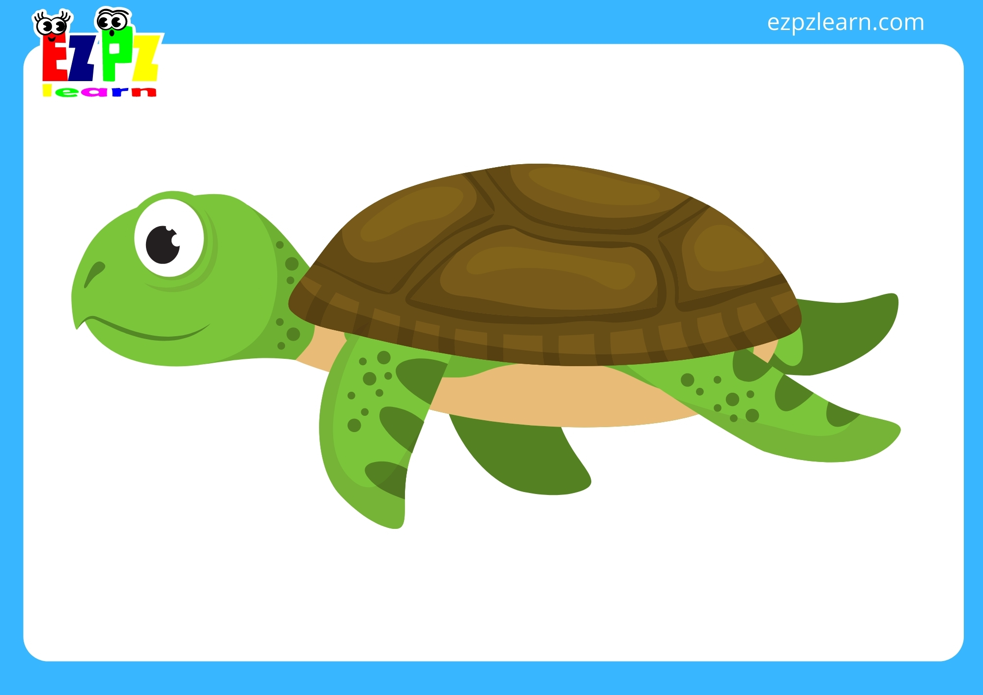 Sea Animals Flashcards without words - Ezpzlearn.com