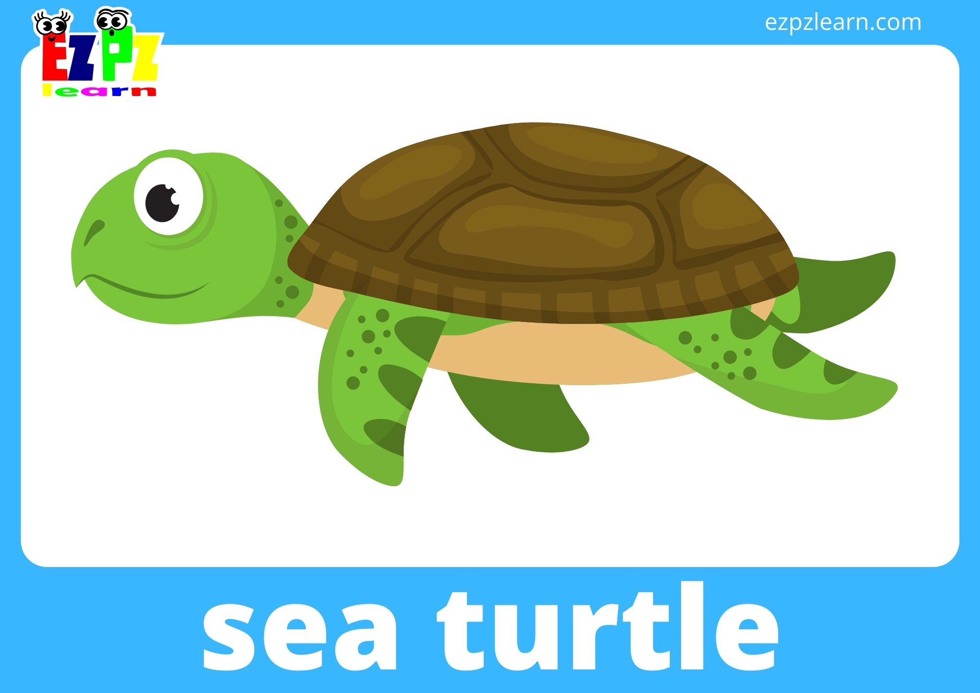 Sea Animal Flashcards With Words use online or PDF download 15 pages ...